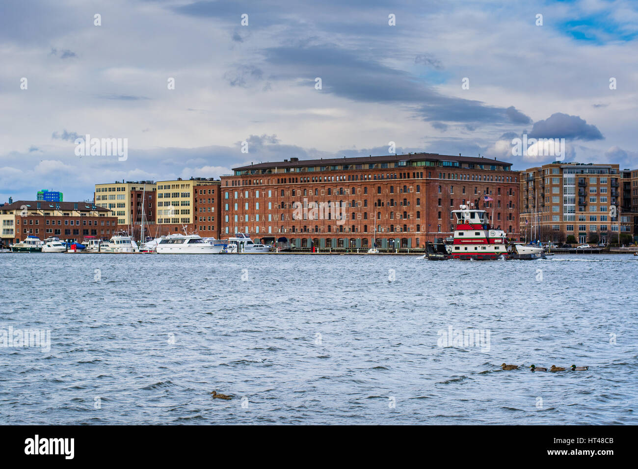 Locust point hi-res stock photography and images - Alamy