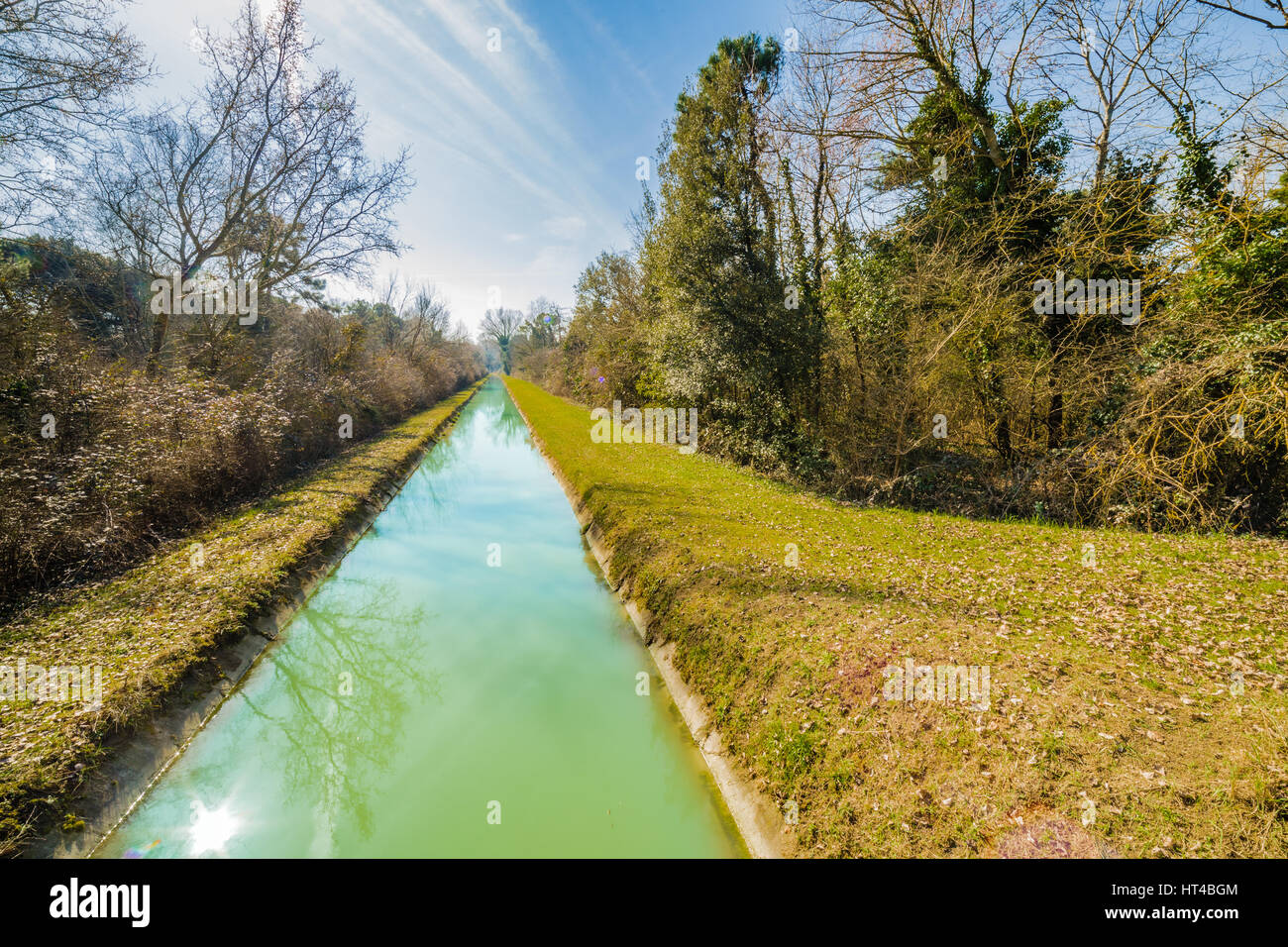 Water flowing in a channel through green pinewood Stock Photo - Alamy