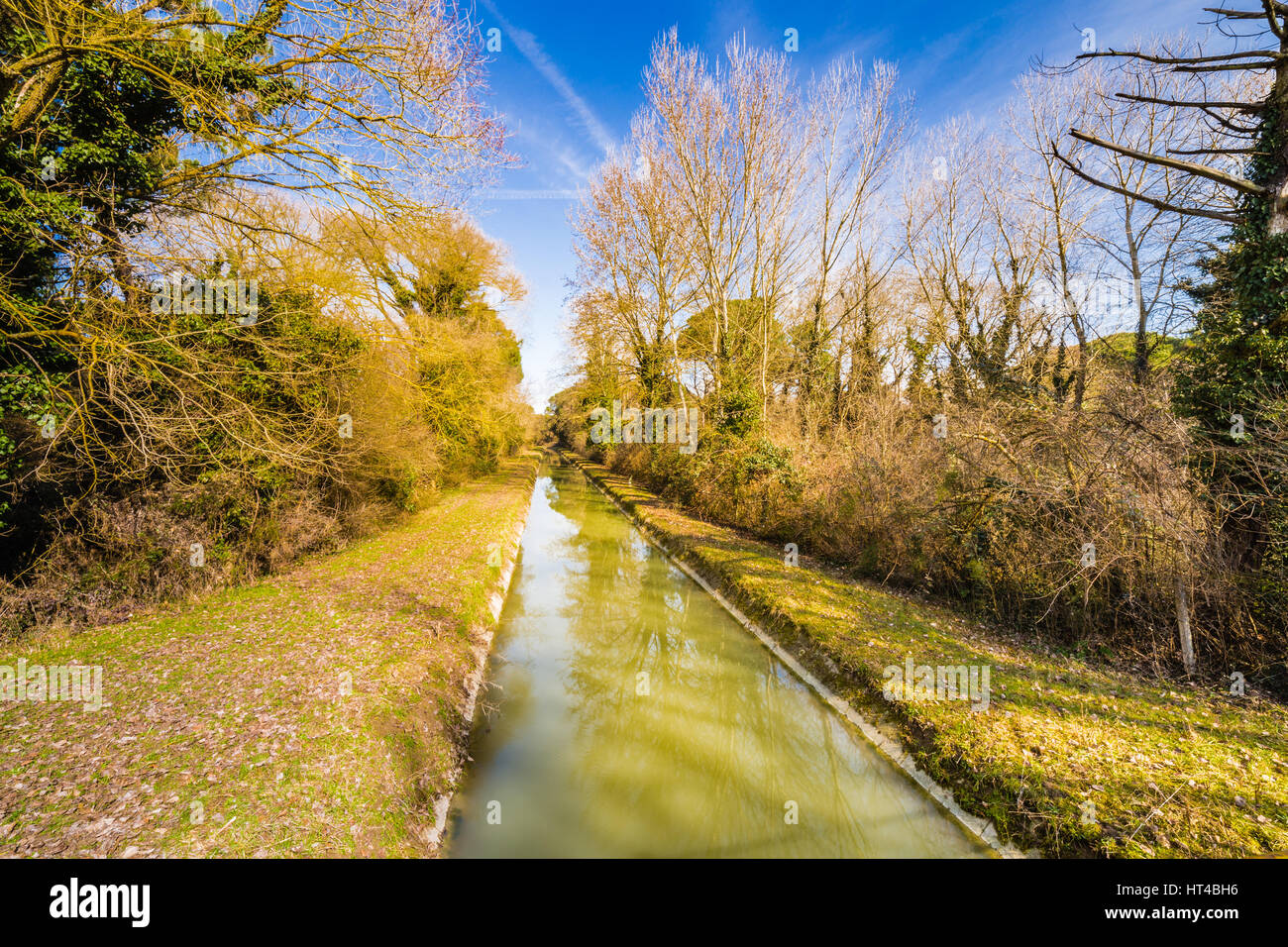 Water flowing in a channel through green pinewood Stock Photo - Alamy