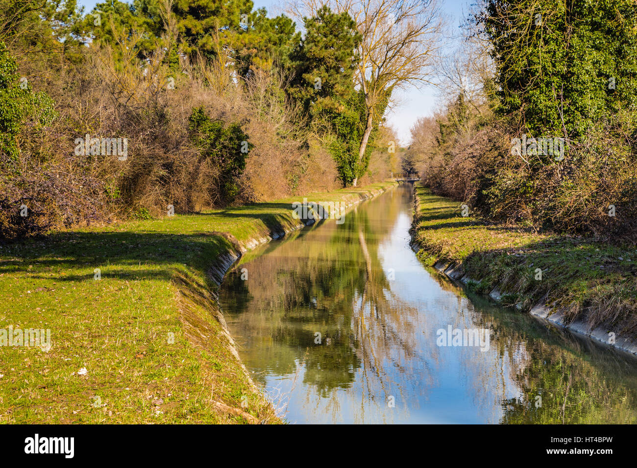 Water flowing in a channel through green pinewood Stock Photo - Alamy