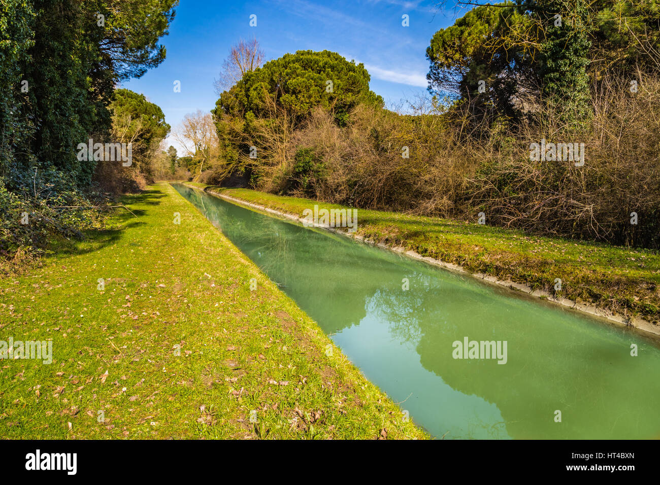 Water flowing in a channel through green pinewood Stock Photo - Alamy