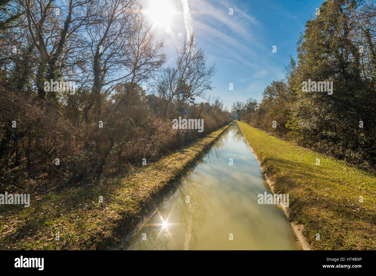Water flowing in a channel through green pinewood Stock Photo - Alamy
