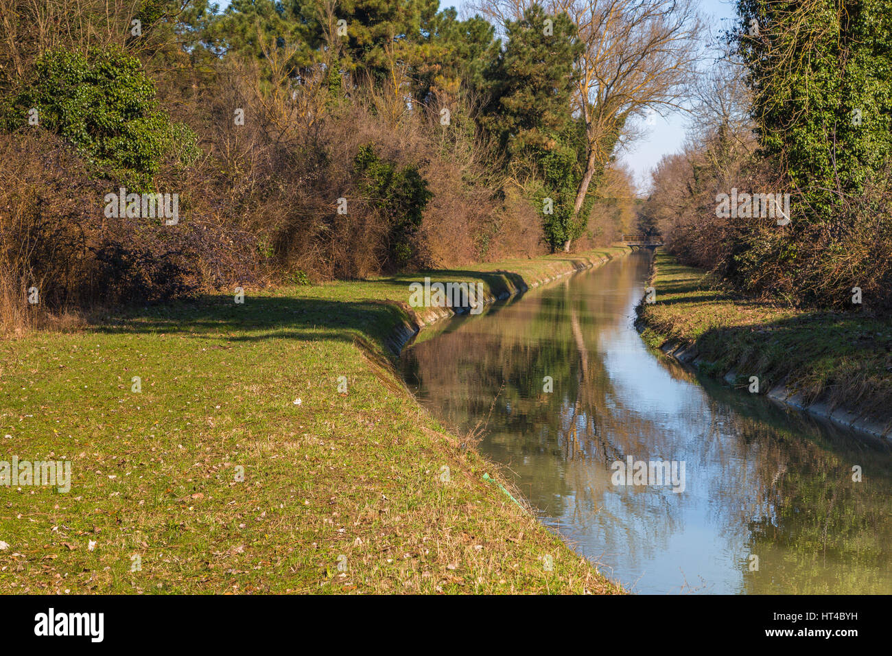 Water flowing in a channel through green pinewood Stock Photo - Alamy