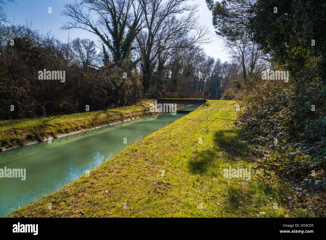 Water flowing in a channel through green pinewood Stock Photo - Alamy
