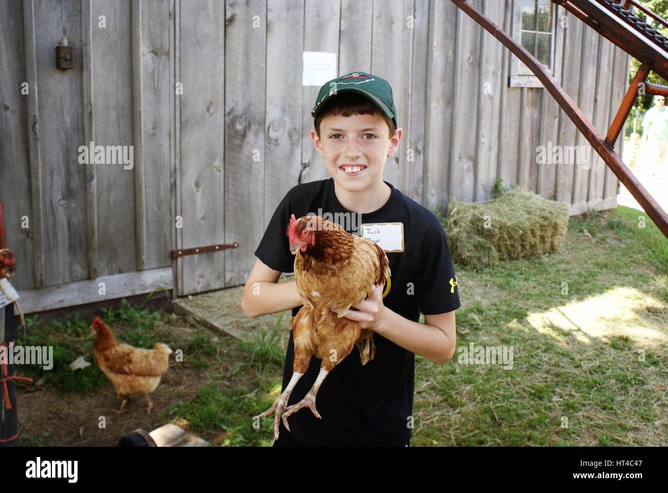 Boy With Chicken Stock Photo - Alamy