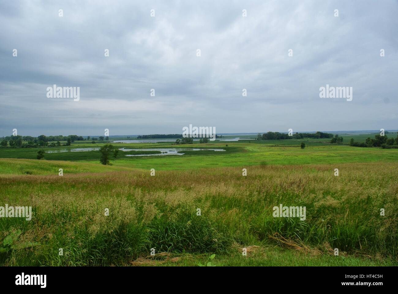 Horicon Marsh, Wisconsin Stock Photo - Alamy