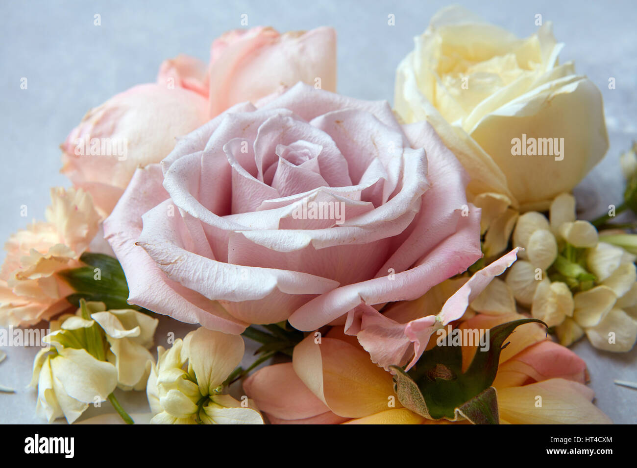 Composition of flowers on grey background Stock Photo - Alamy