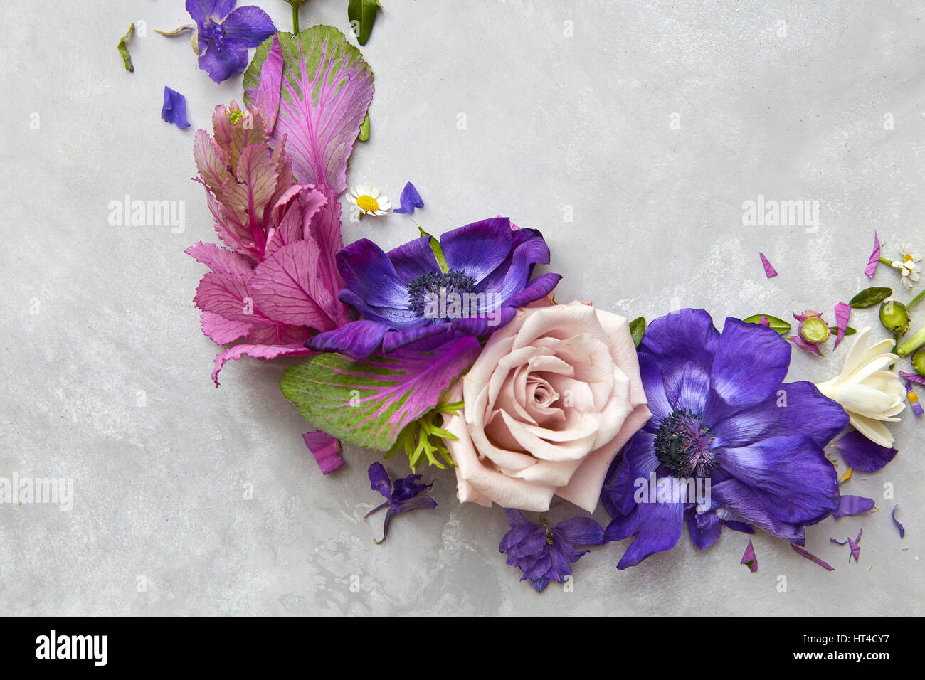 Composition of flowers on grey background Stock Photo - Alamy