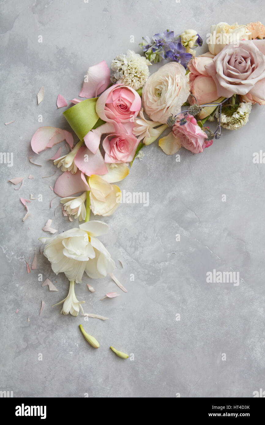 Composition of flowers on grey background Stock Photo - Alamy