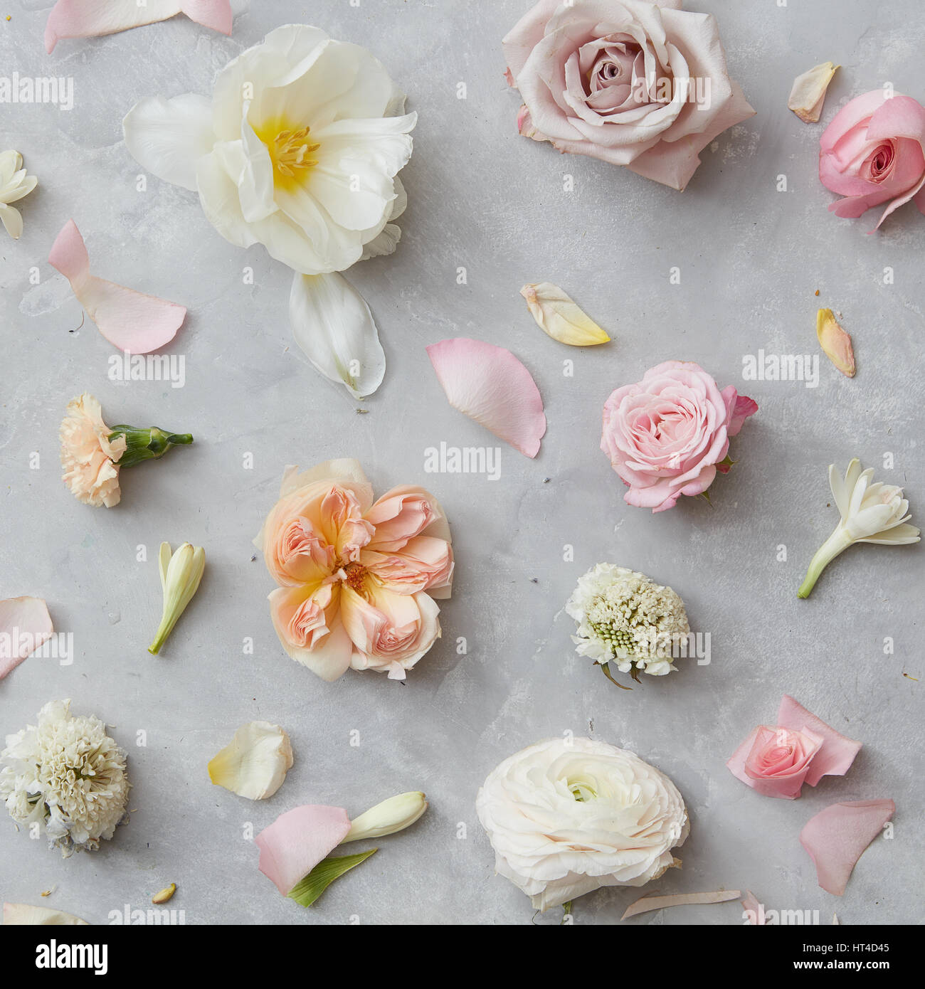 Composition of flowers on grey background Stock Photo - Alamy
