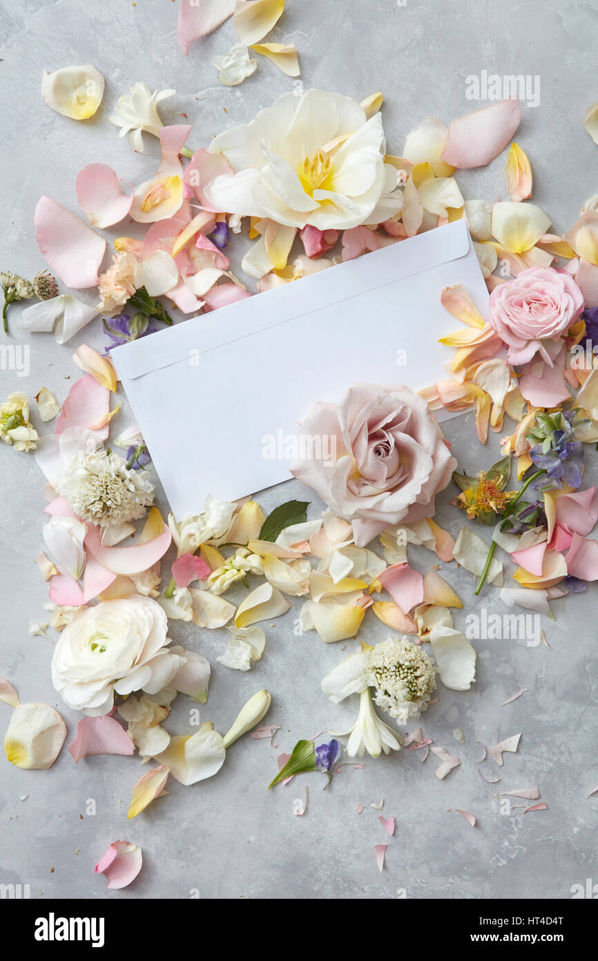 Composition of flowers on grey background Stock Photo - Alamy