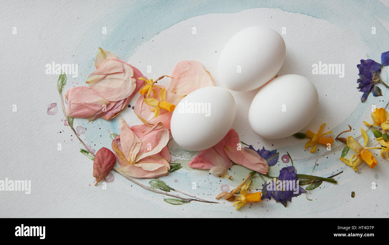 Eggs design over background Stock Photo - Alamy