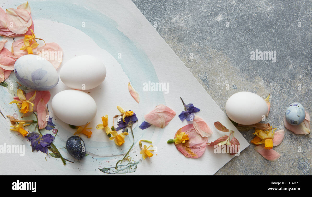 Eggs design over background Stock Photo - Alamy