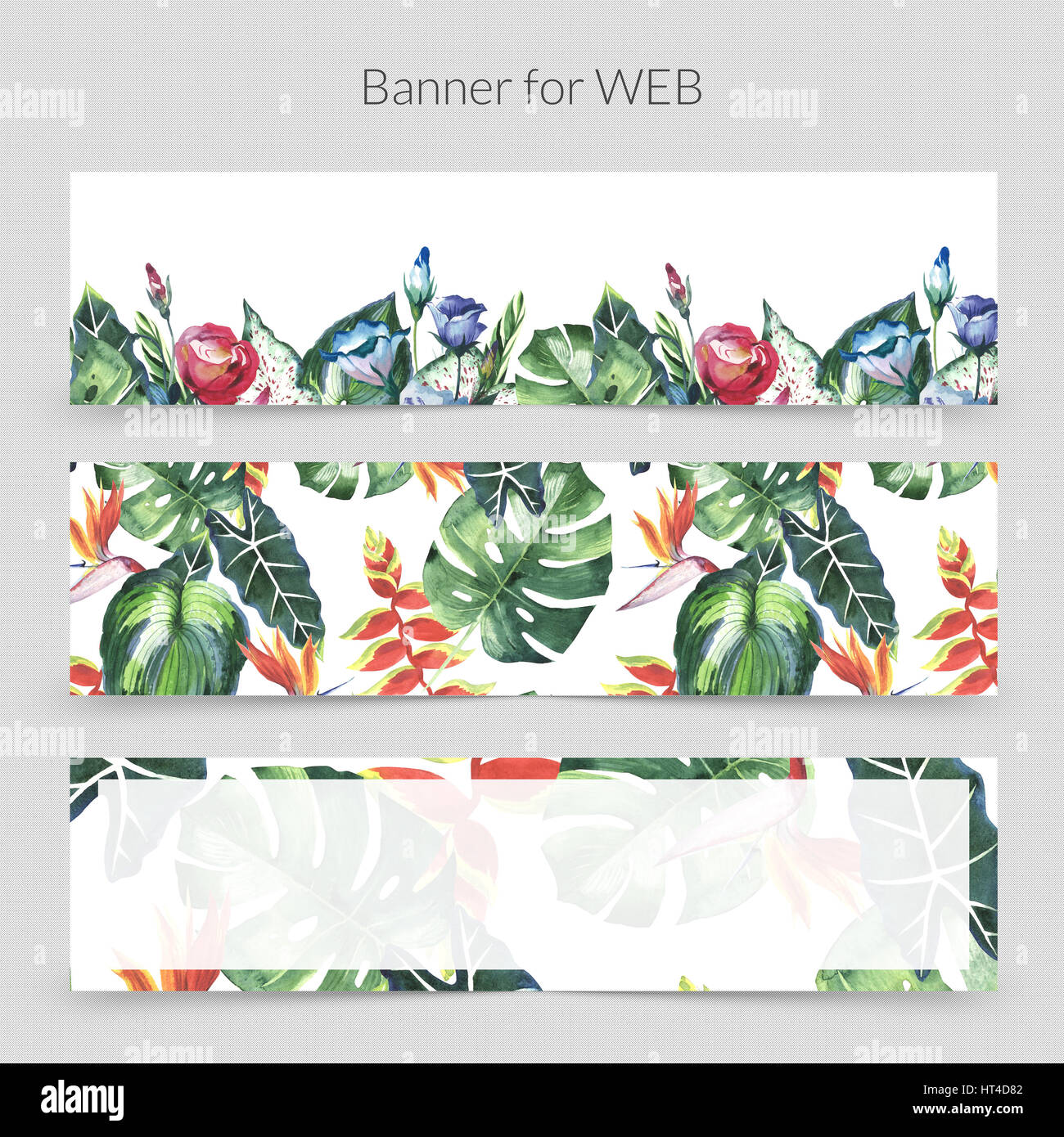 Tropical Hawaii leaves palm tree theme in a watercolor style isolated ...