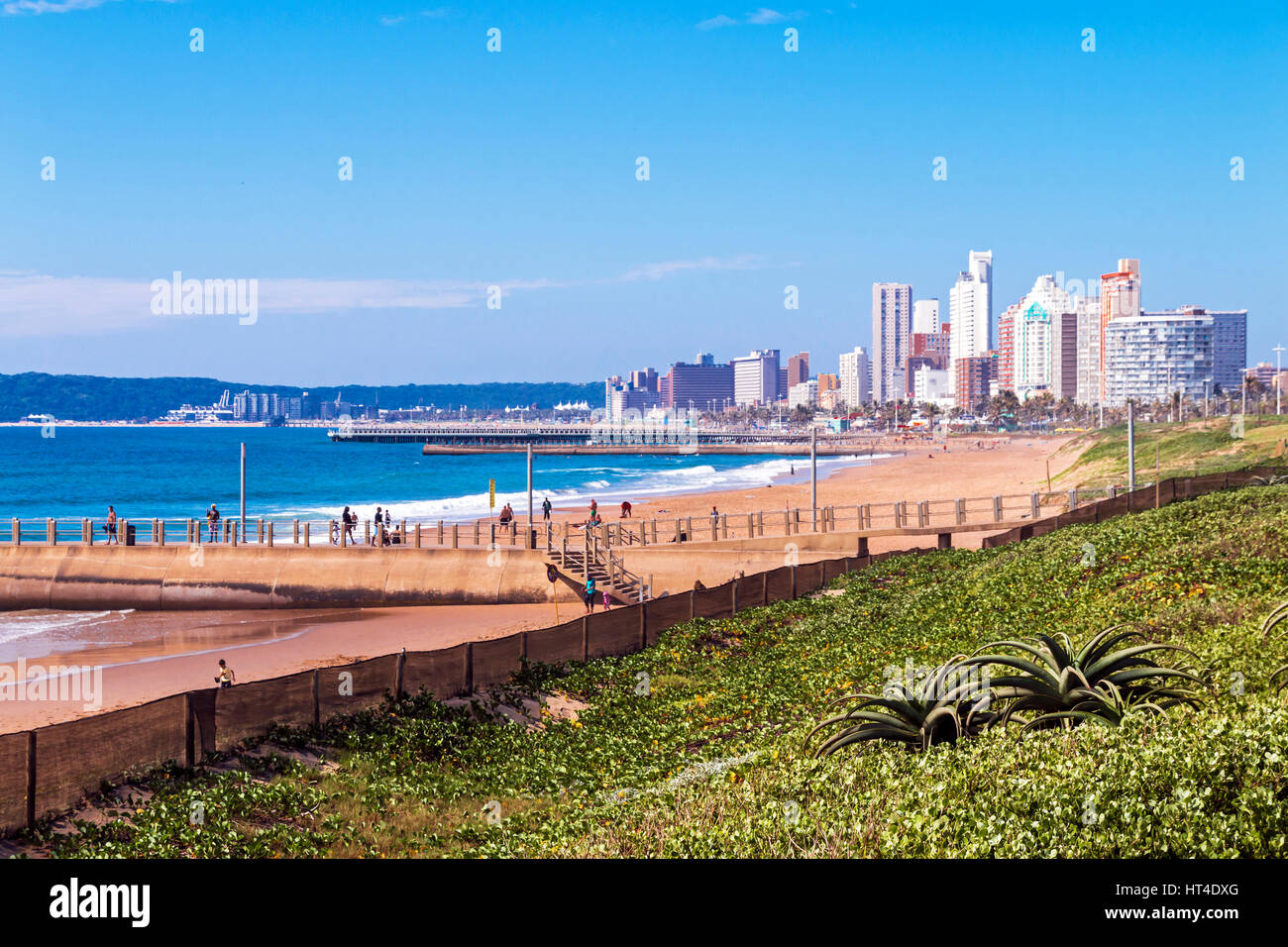 Dune vegetation beach and ocean against blue sky and city skyline in ...