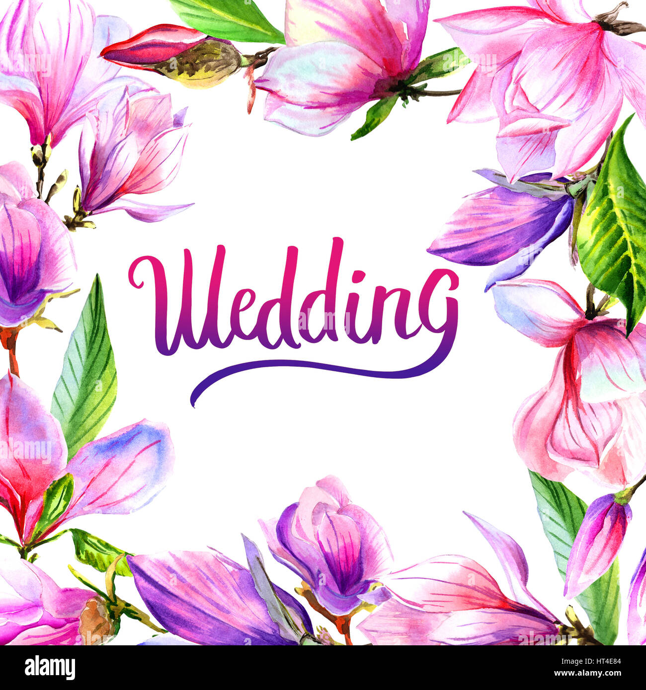 Wildflower magnolia flower frame in a watercolor style isolated Stock ...