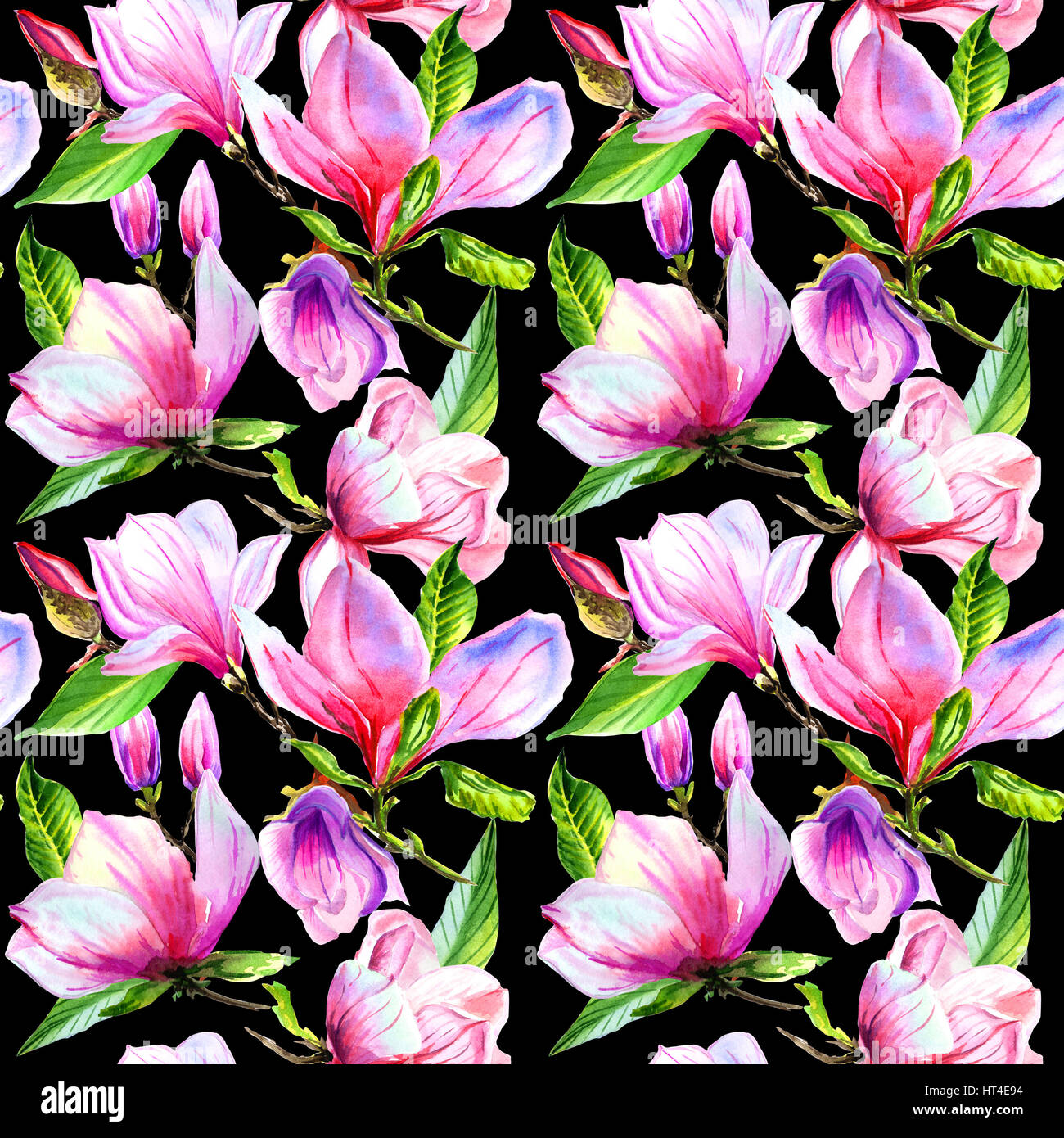 Wildflower magnolia flower pattern in a watercolor style isolated Stock ...