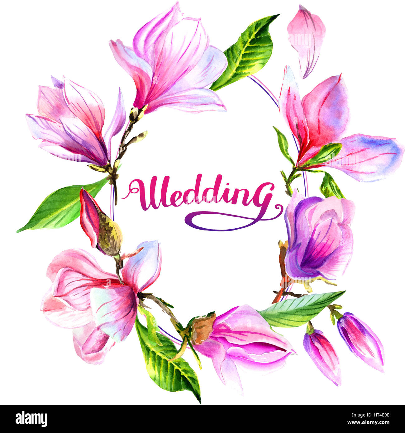 Wildflower magnolia flower frame in a watercolor style isolated Stock ...