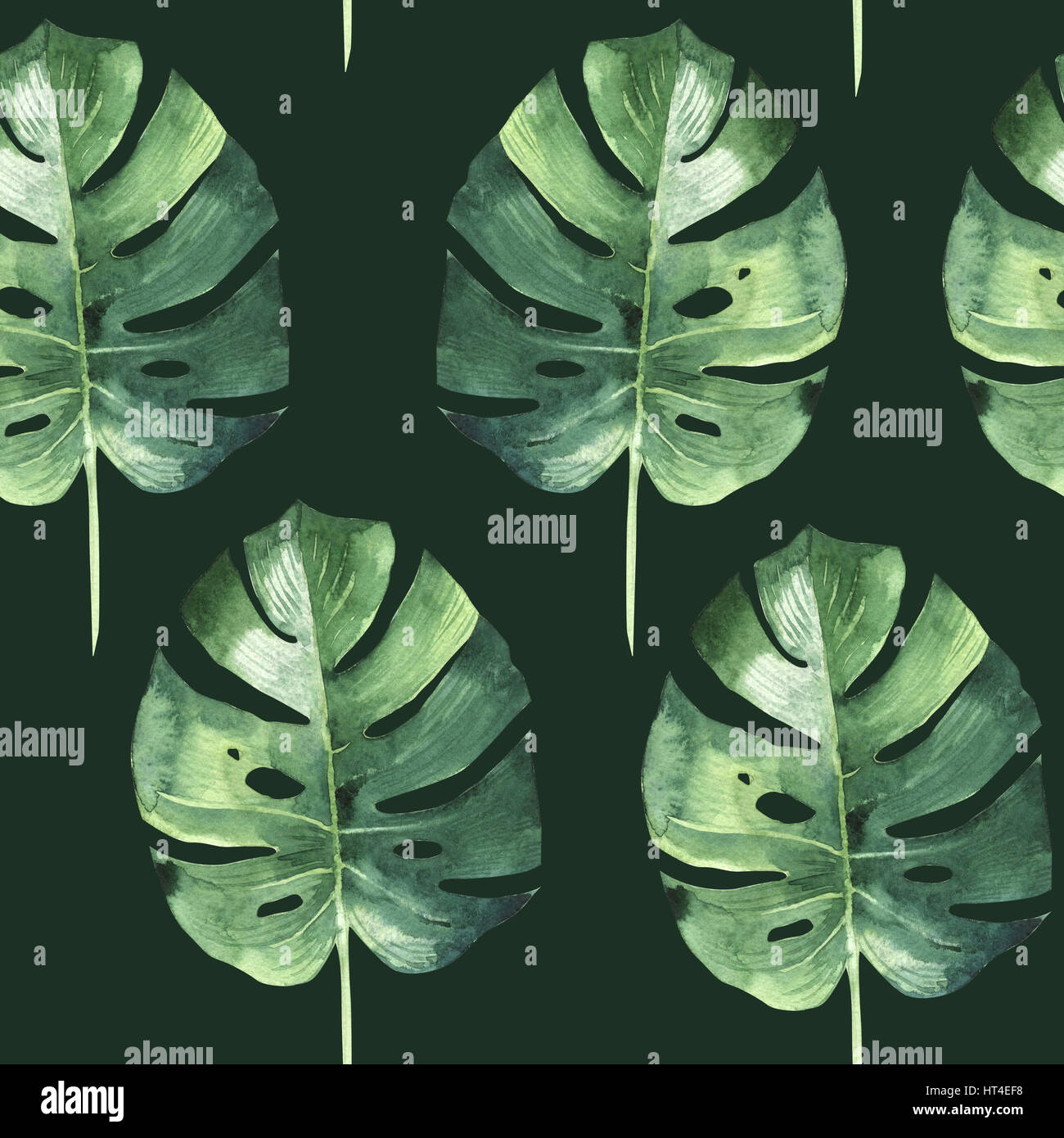 Tropical Hawaii leaves palm tree pattern in a watercolor style isolated ...