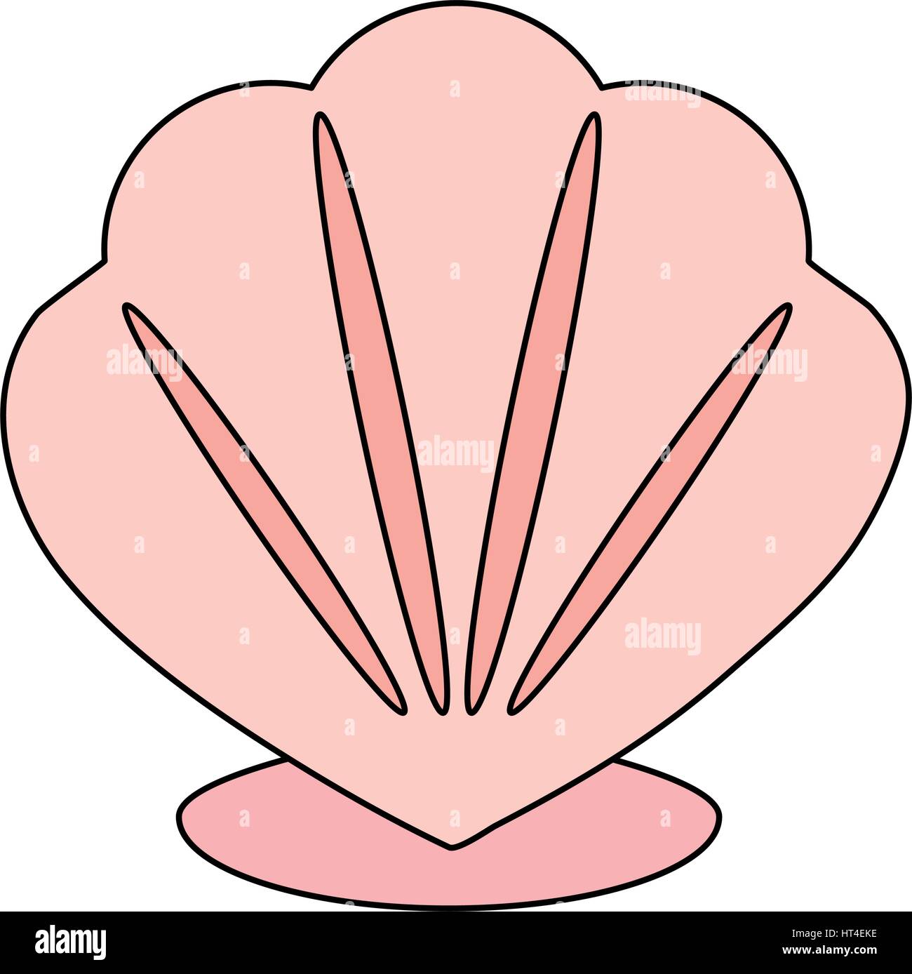 conch or shell icon image Stock Vector Image & Art - Alamy