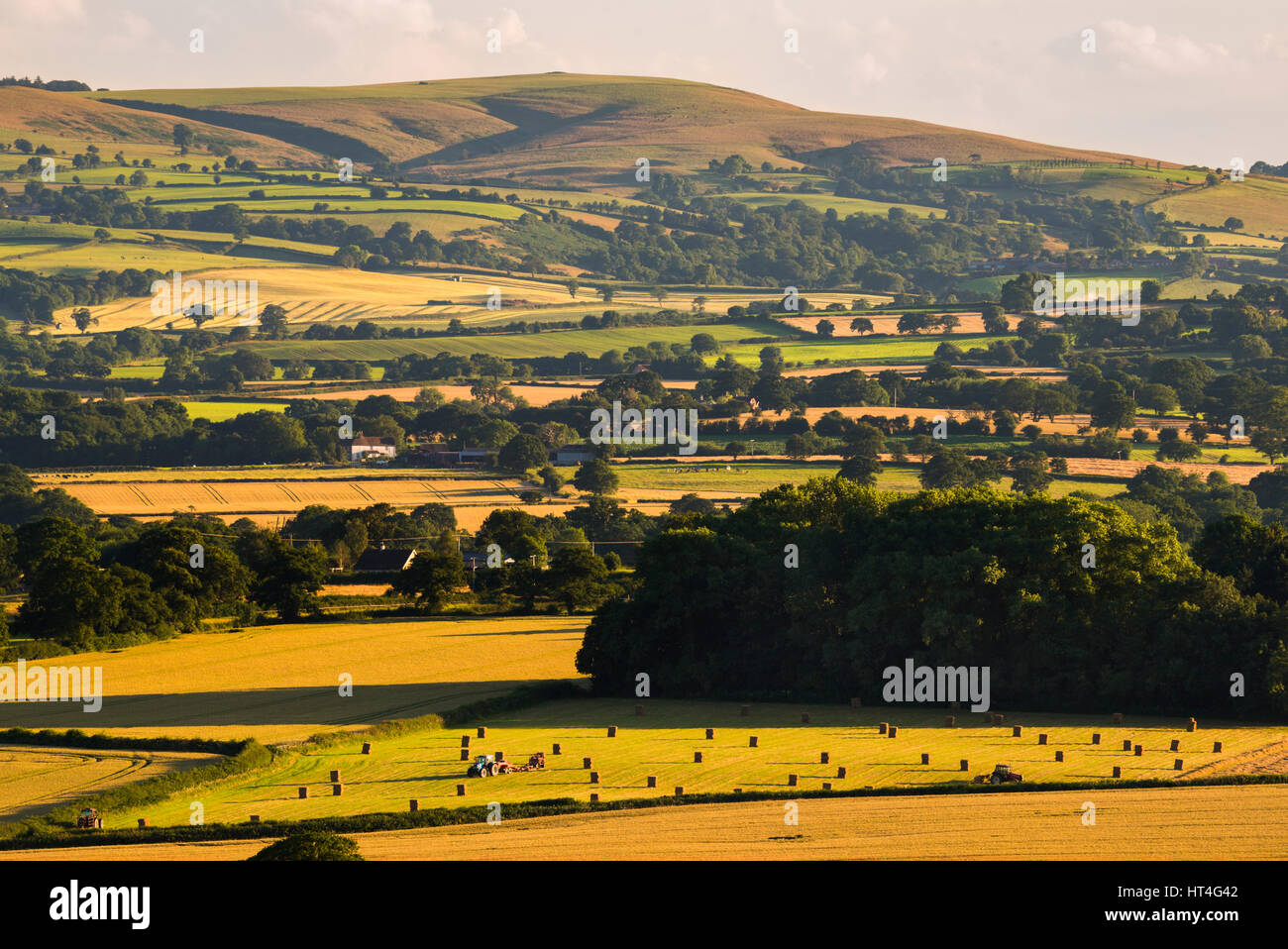 Lyth Hill High Resolution Stock Photography and Images - Alamy