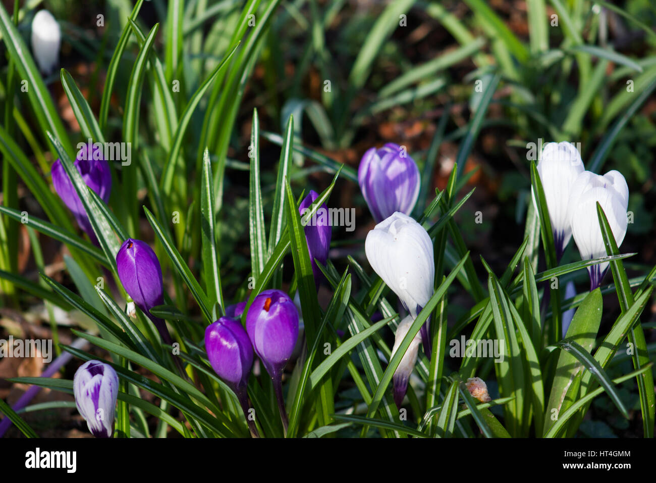 Blue canister hi-res stock photography and images - Alamy