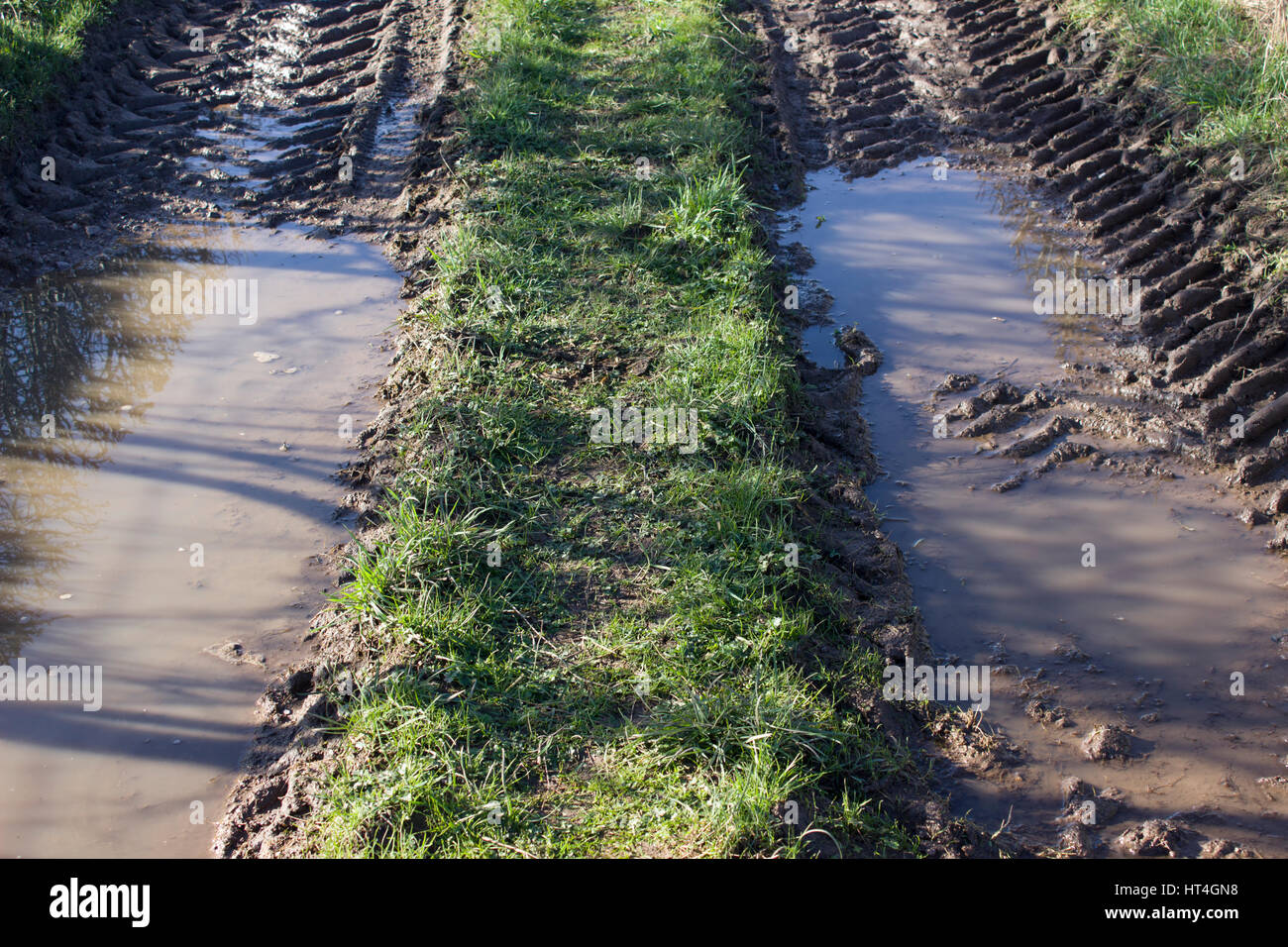 Muddy Tracks with tractor markings on Stock Photo - Alamy