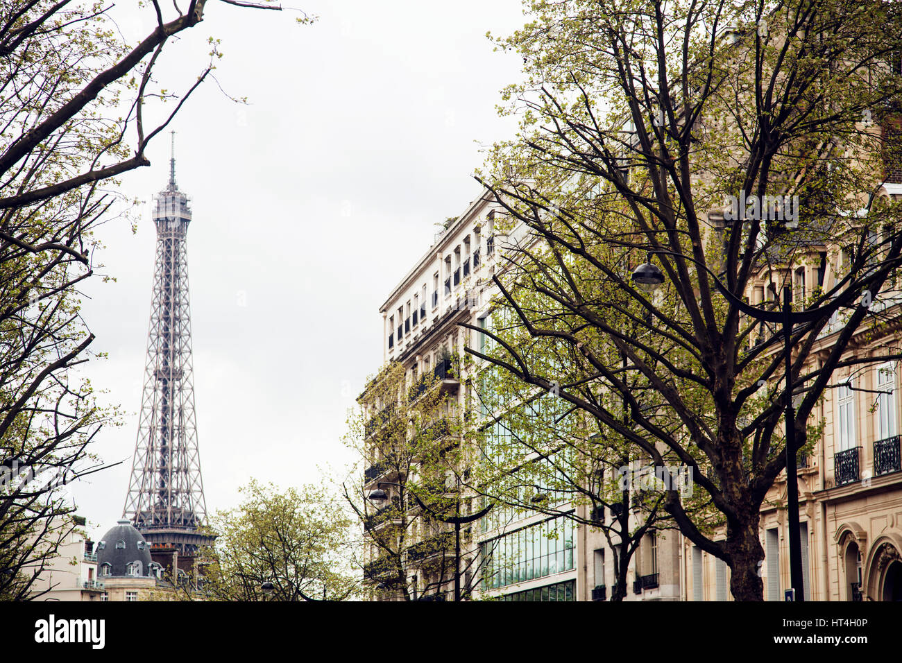 french paris street with Eiffel Tower in perspective trought trees ...