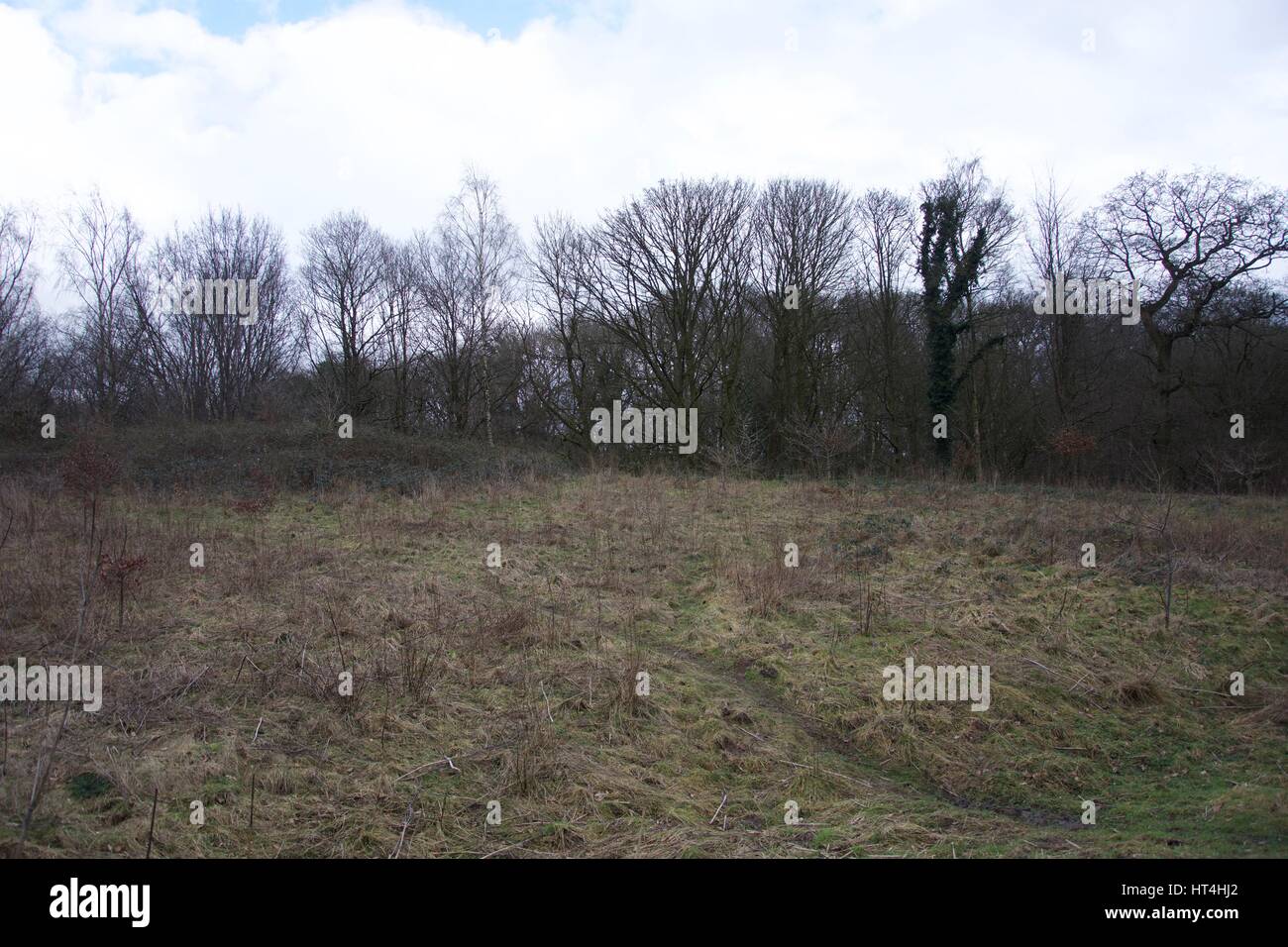 Landscape images of Lawton Manor in Stoke on Trent Stock Photo - Alamy