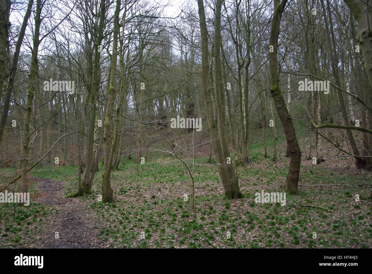 Landscape images of Lawton Manor in Stoke on Trent Stock Photo - Alamy