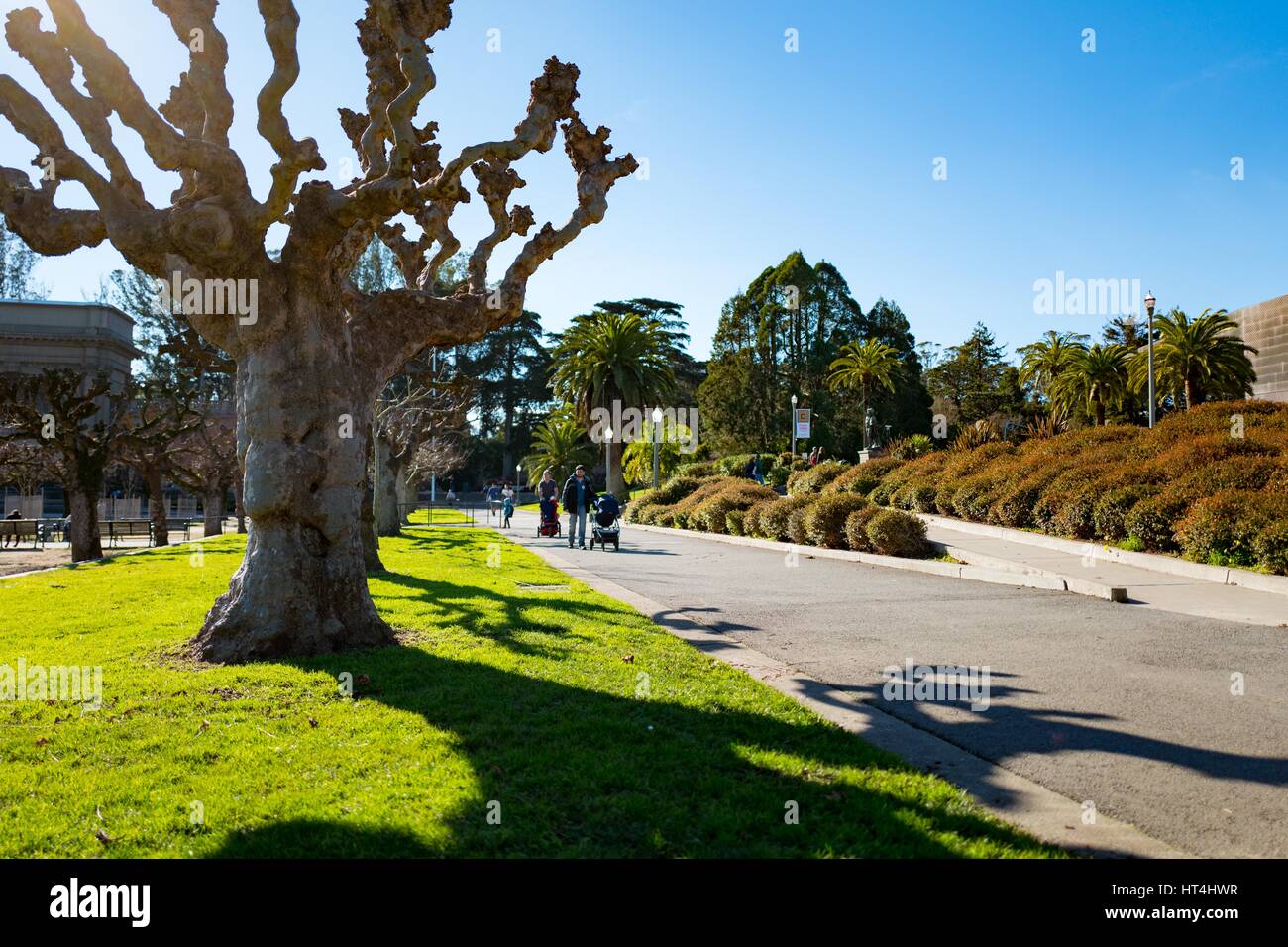 People stroll past the DeYoung Museum in Golden Gate Park, with ...