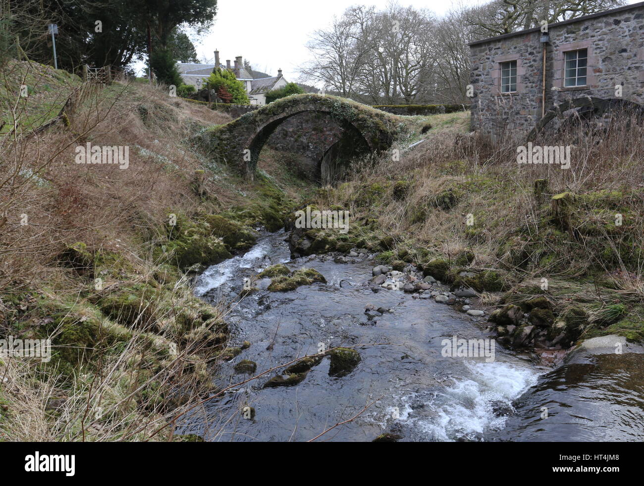 Shaggie burn hi-res stock photography and images - Alamy