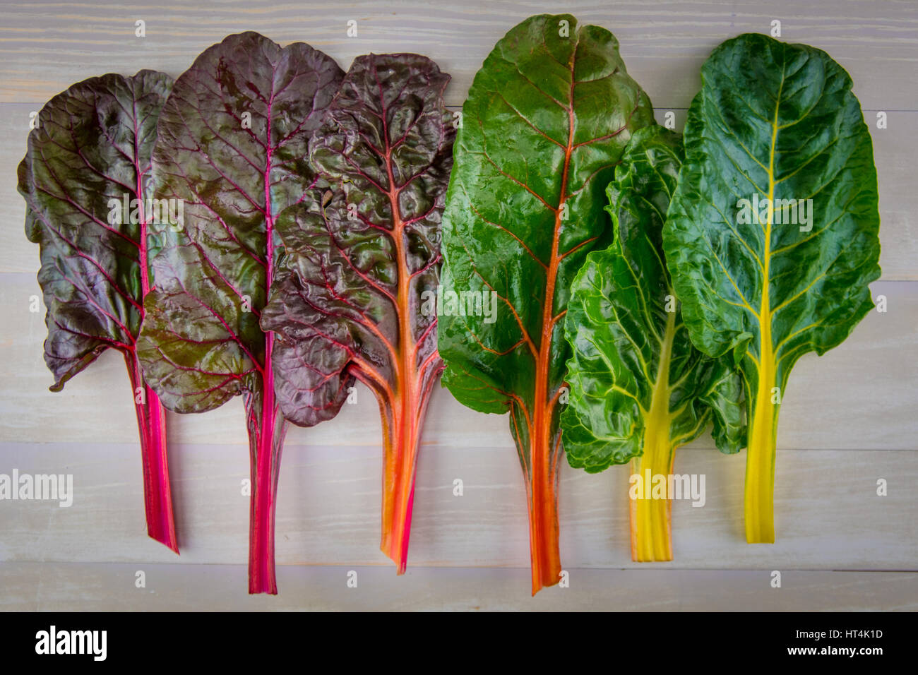 Rainbow Chard In A Line From Red to Yellow on table top Stock Photo - Alamy