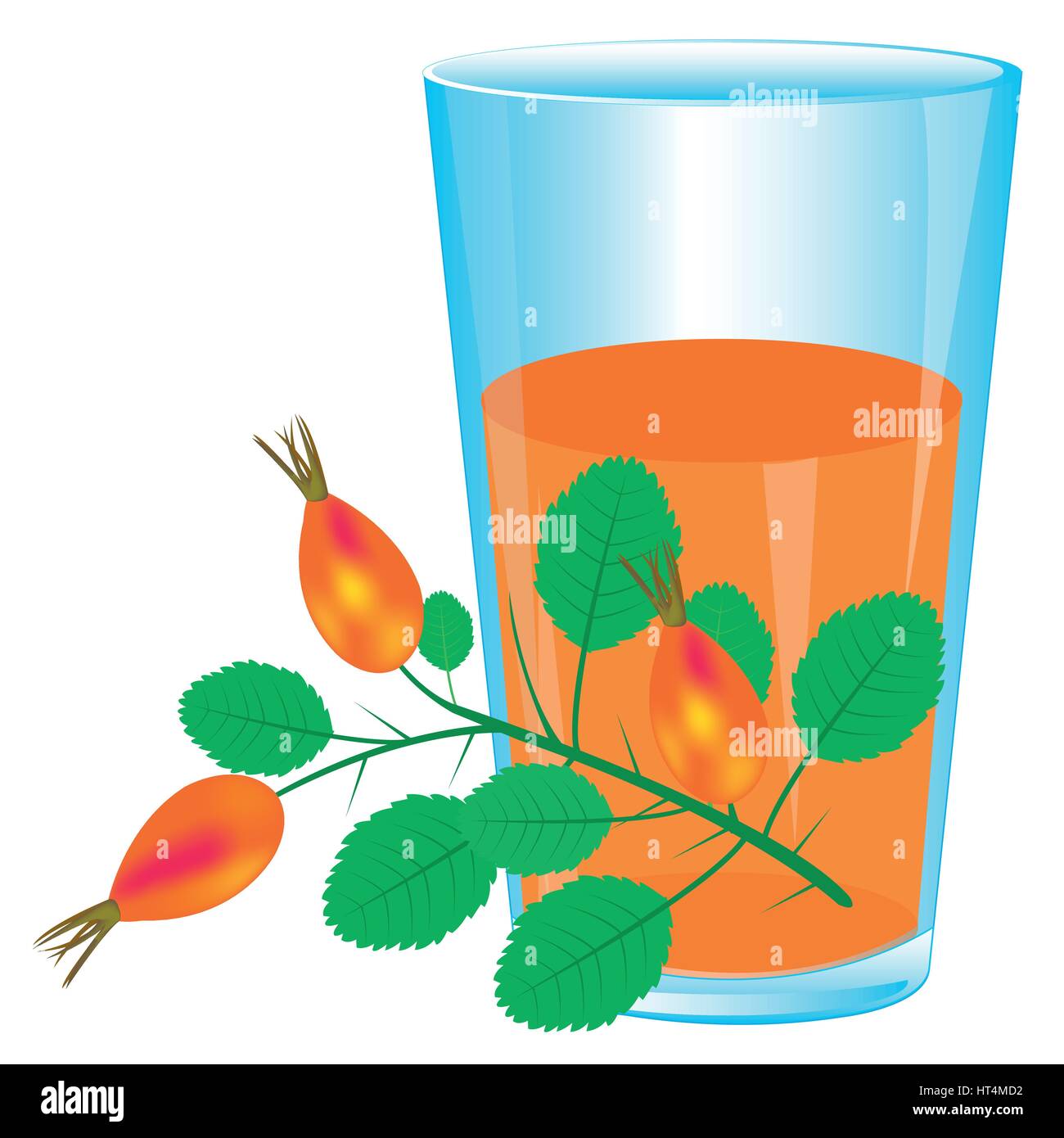 Juice and branch of the wild rose on white background is insulated ...