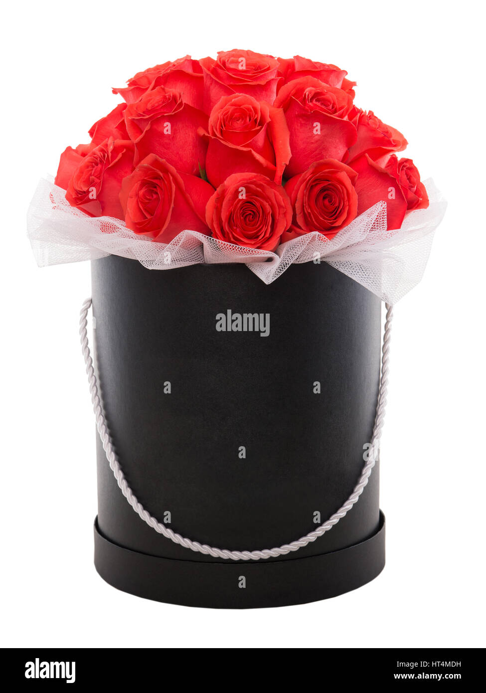 Beautiful holiday box in Cut Out Stock Images & Pictures - Alamy