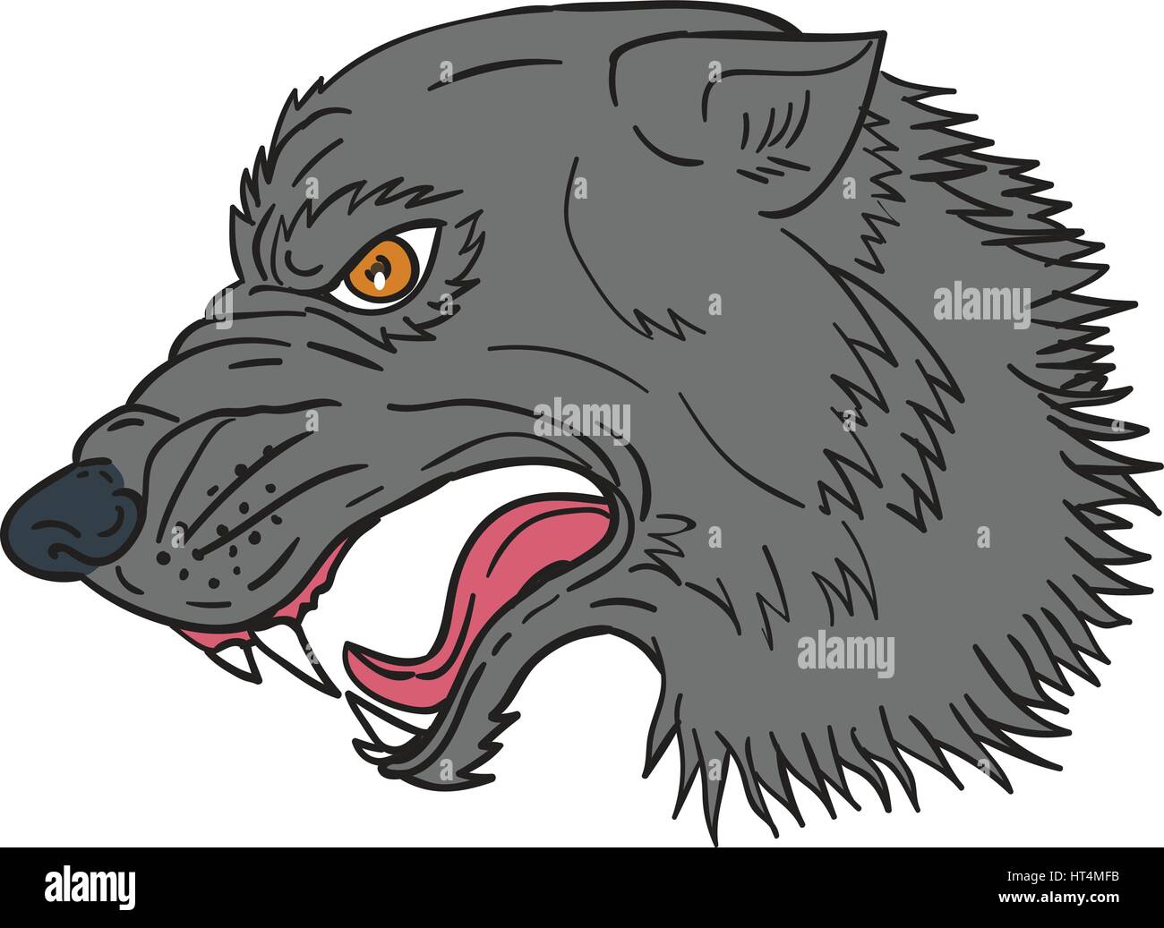 Wolf Head Side Drawing