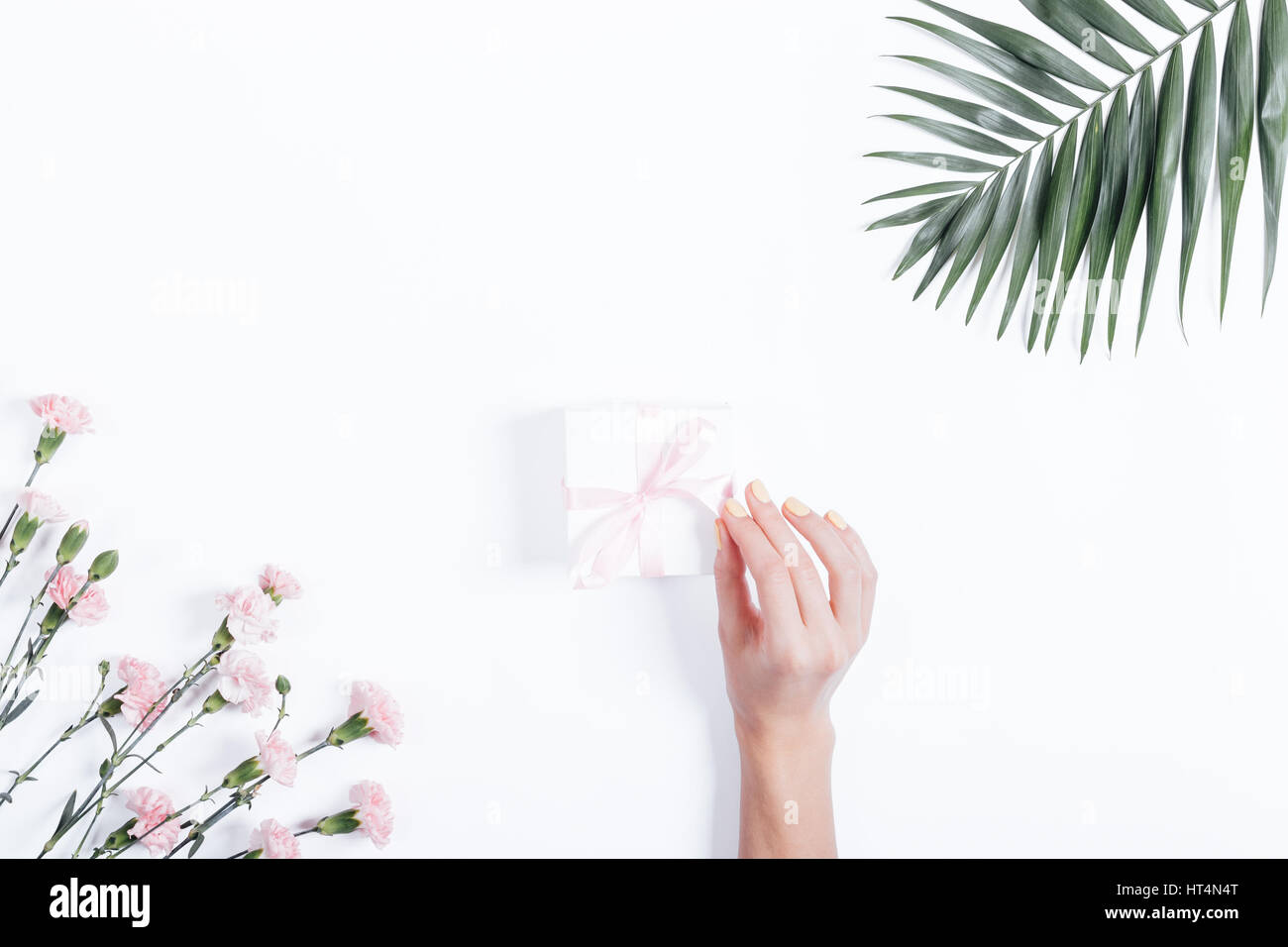 Female hand tying a ribbon on a box with a gift on white background ...