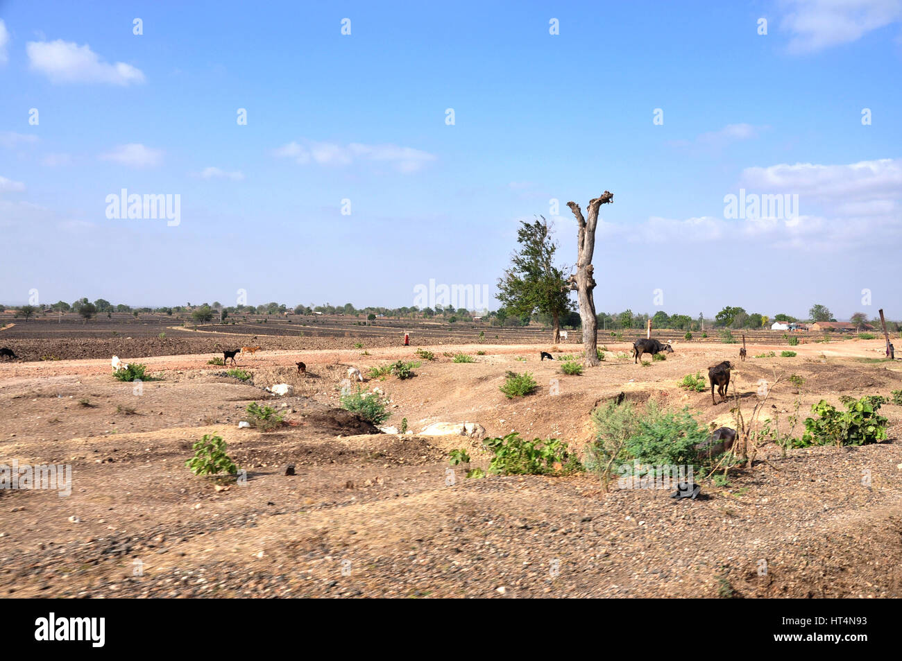 Mumbai Village, (Photo Copyright © by Saji Maramon Stock Photo - Alamy