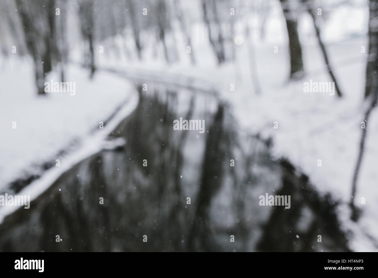 river in winter park from close angle Stock Photo - Alamy