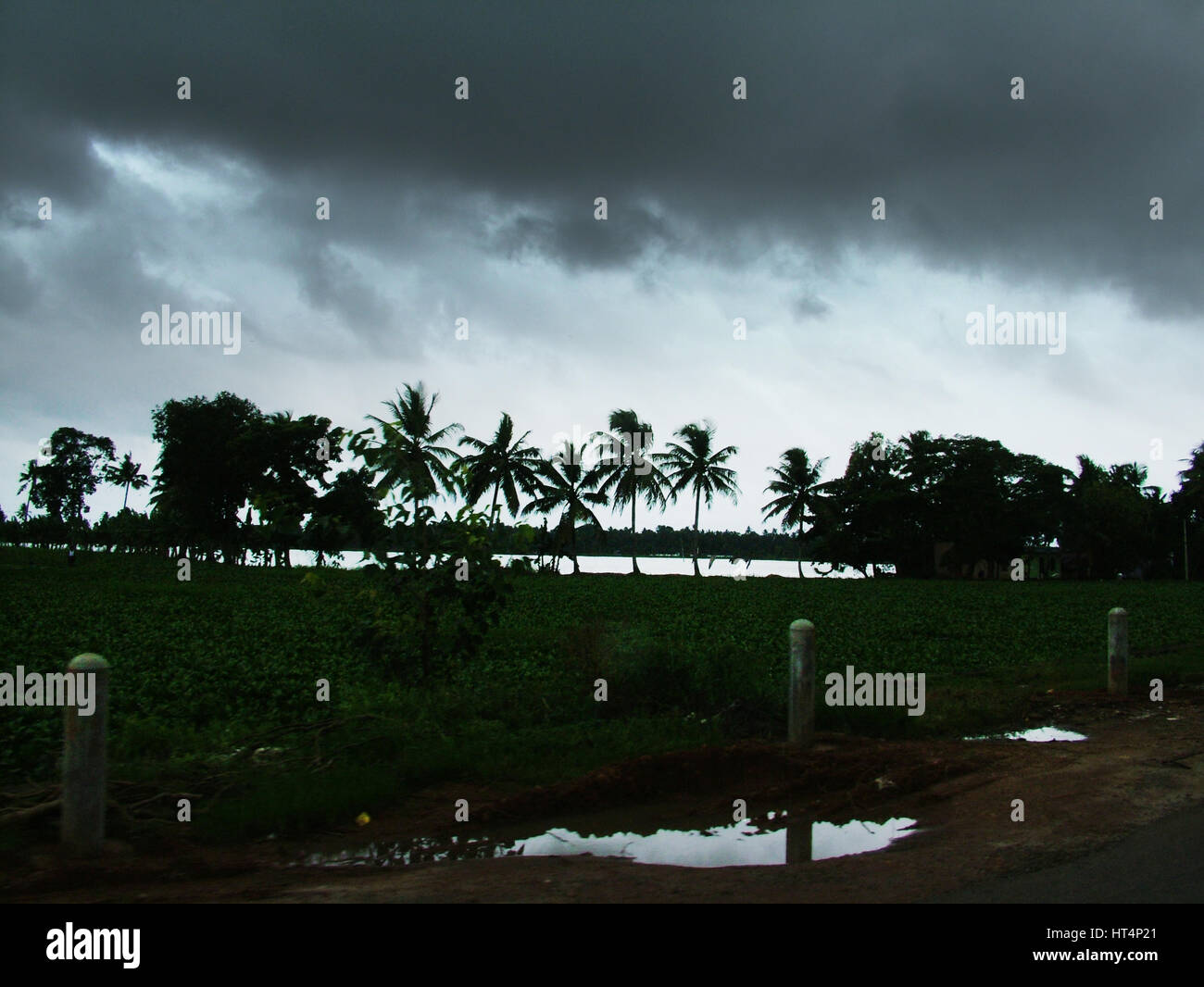Kerala Backwaters - Panoramic view of a lagoon, Alleppey, Alappuzha ...