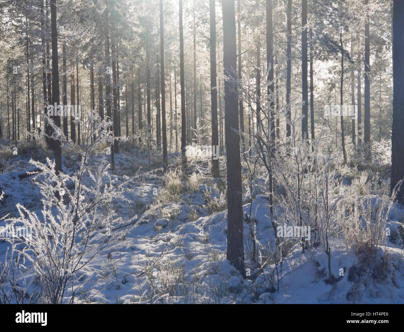 Norwegian winter scene hi-res stock photography and images - Alamy