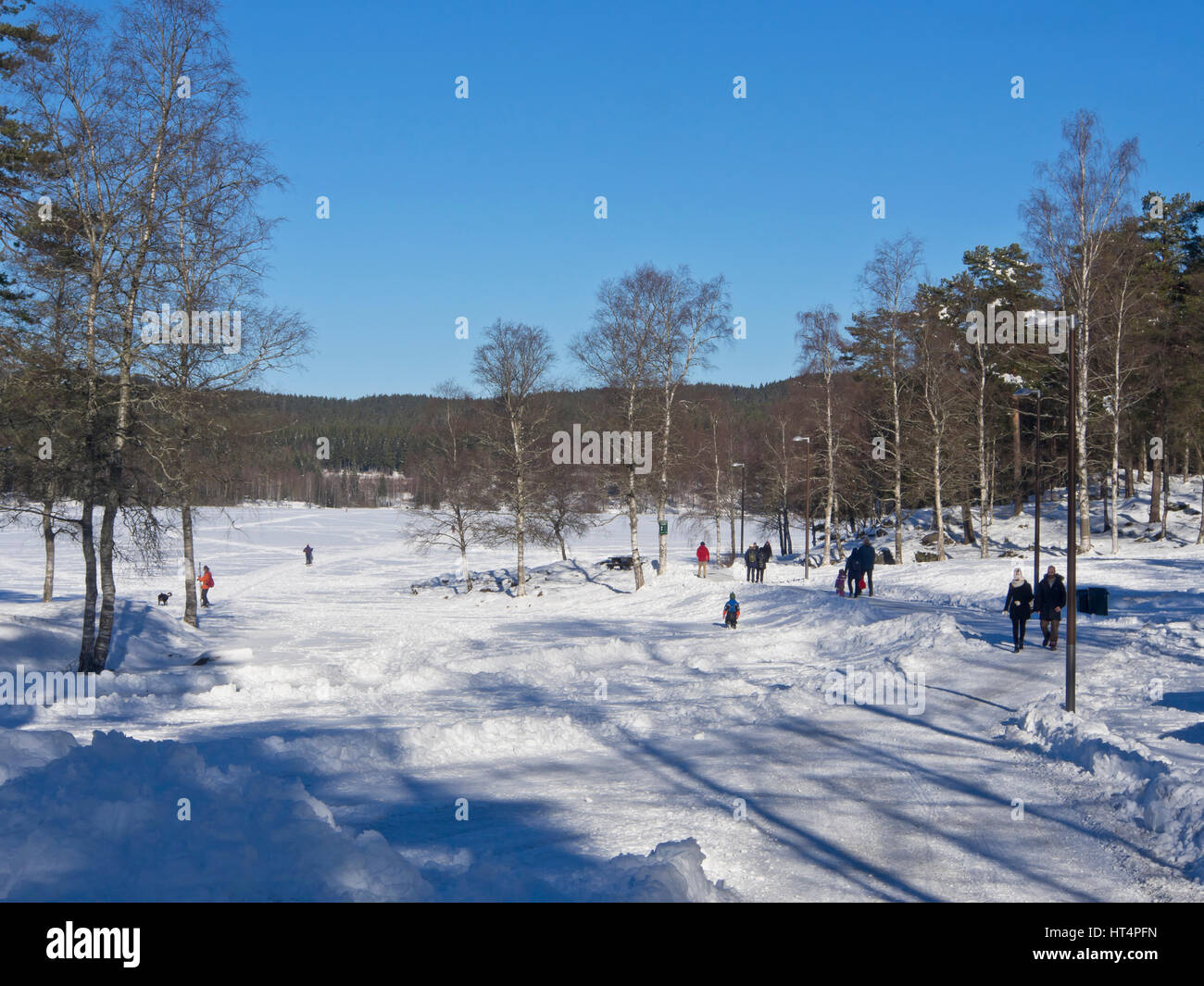 Frozen sognsvann lake oslo surroundings hi-res stock photography and ...