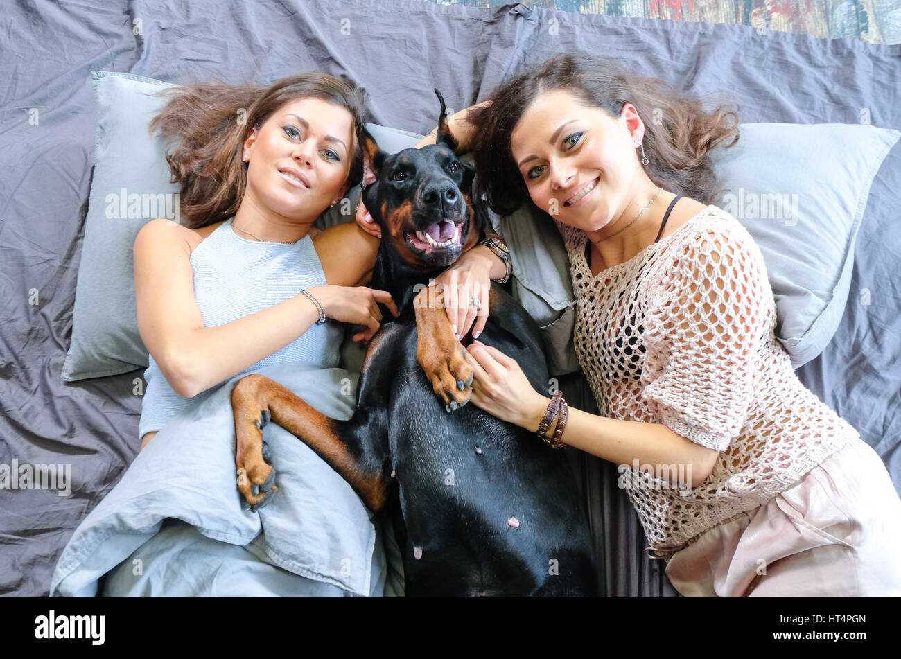 Dog and bad and happy hi-res stock photography and images - Alamy