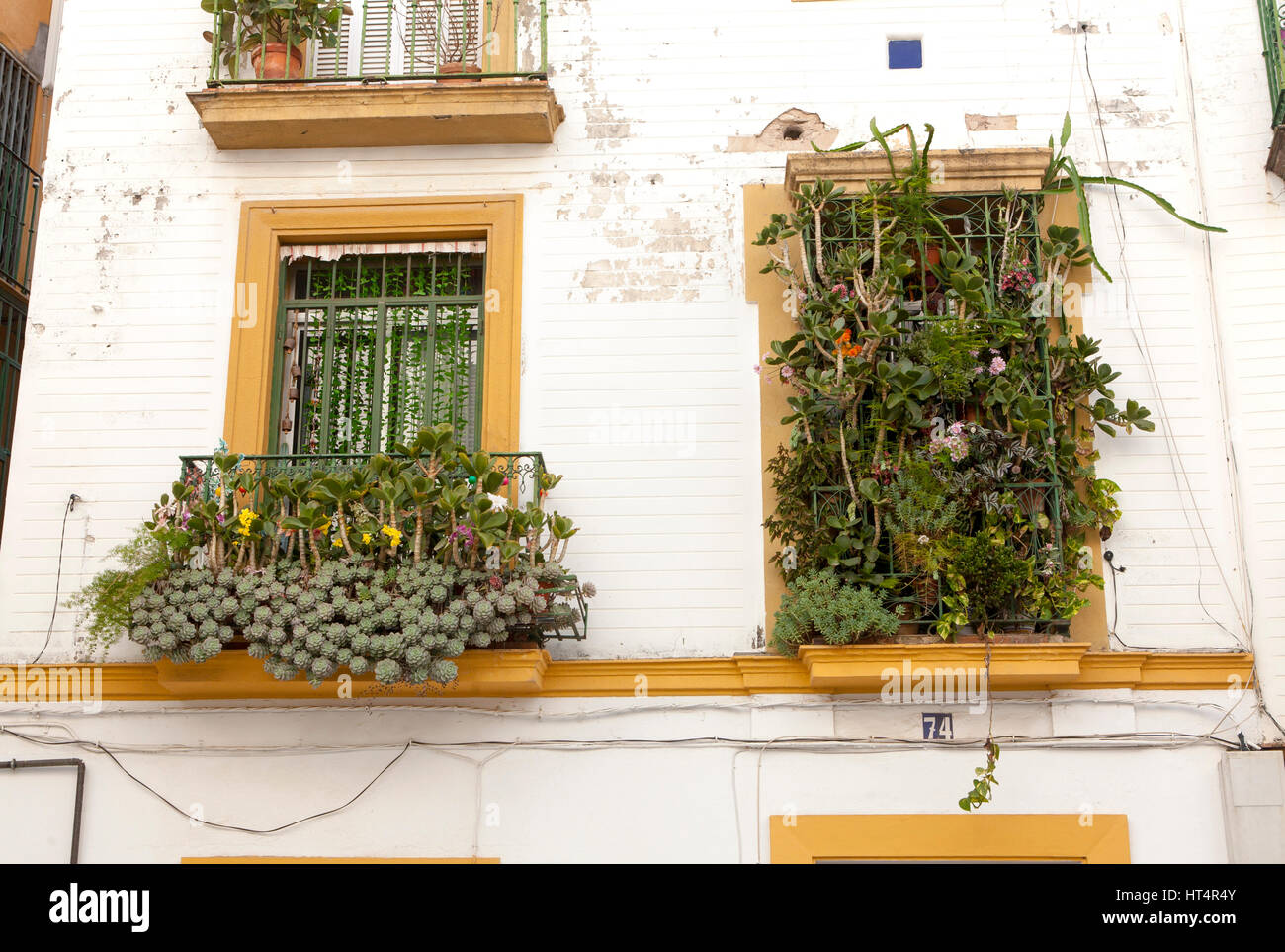 Domestic window display hi-res stock photography and images - Alamy