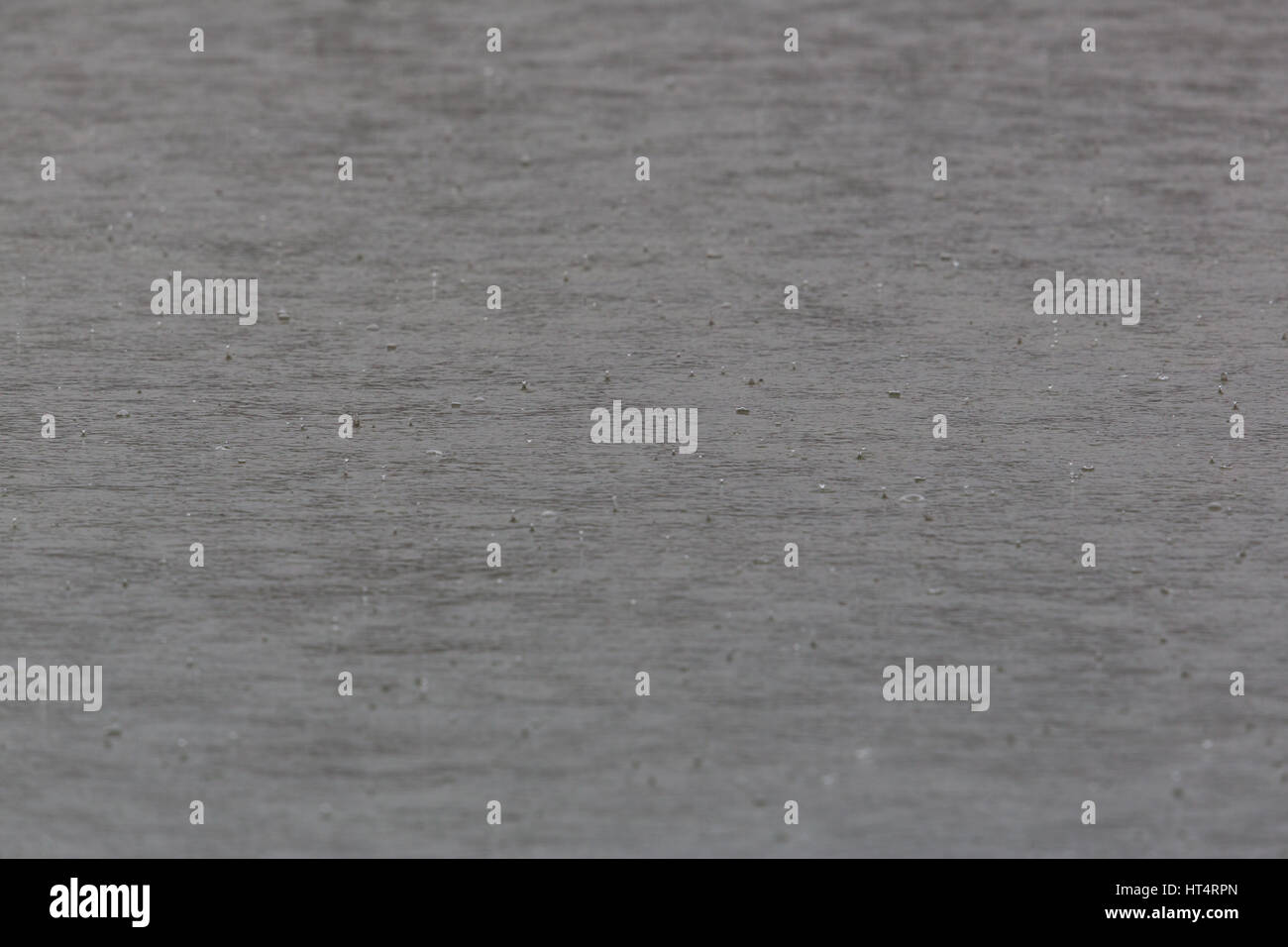 Gray water surface in rain with drops and circles Stock Photo - Alamy