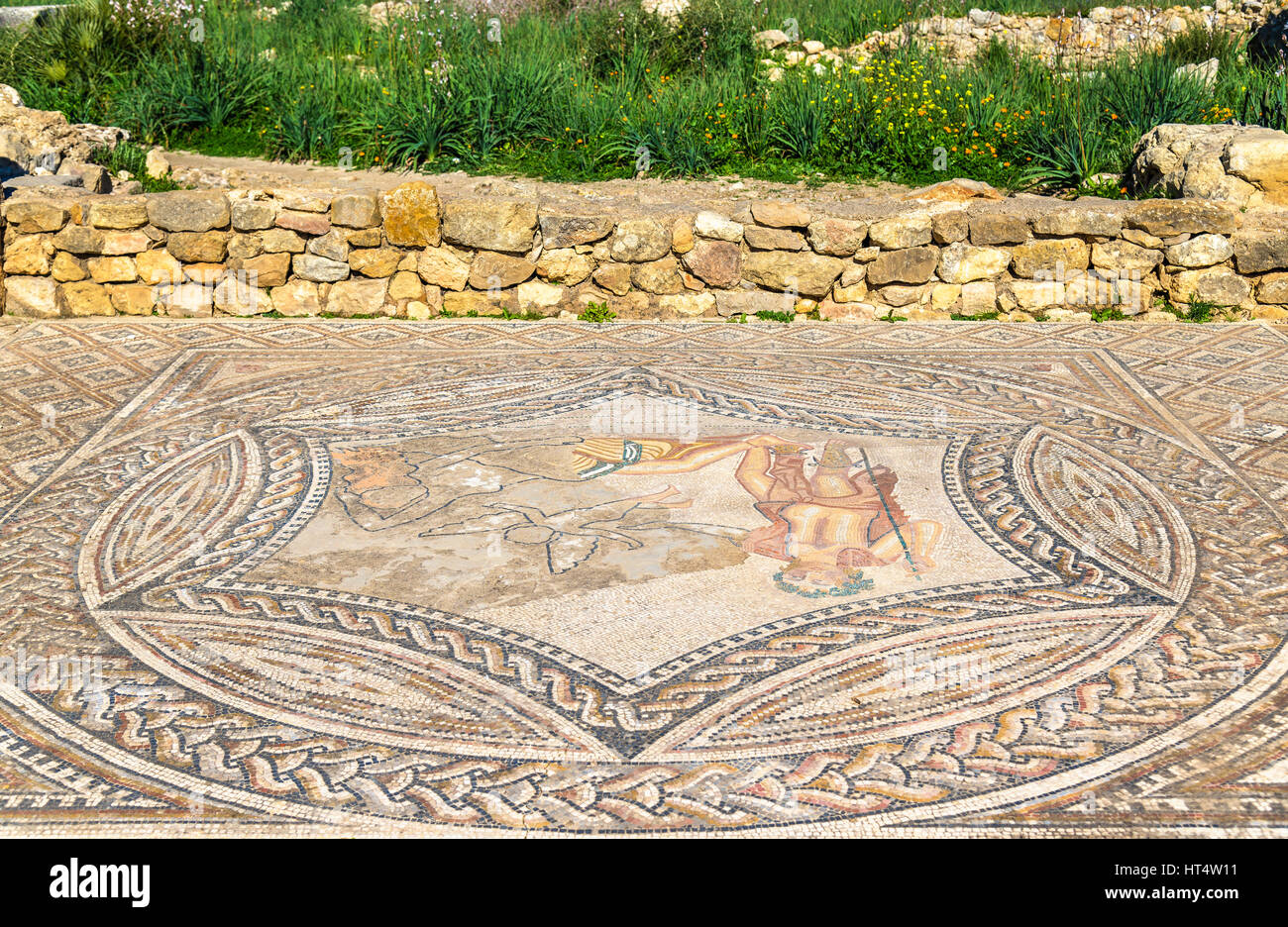 Ancient roman mosaic tree hi-res stock photography and images - Alamy