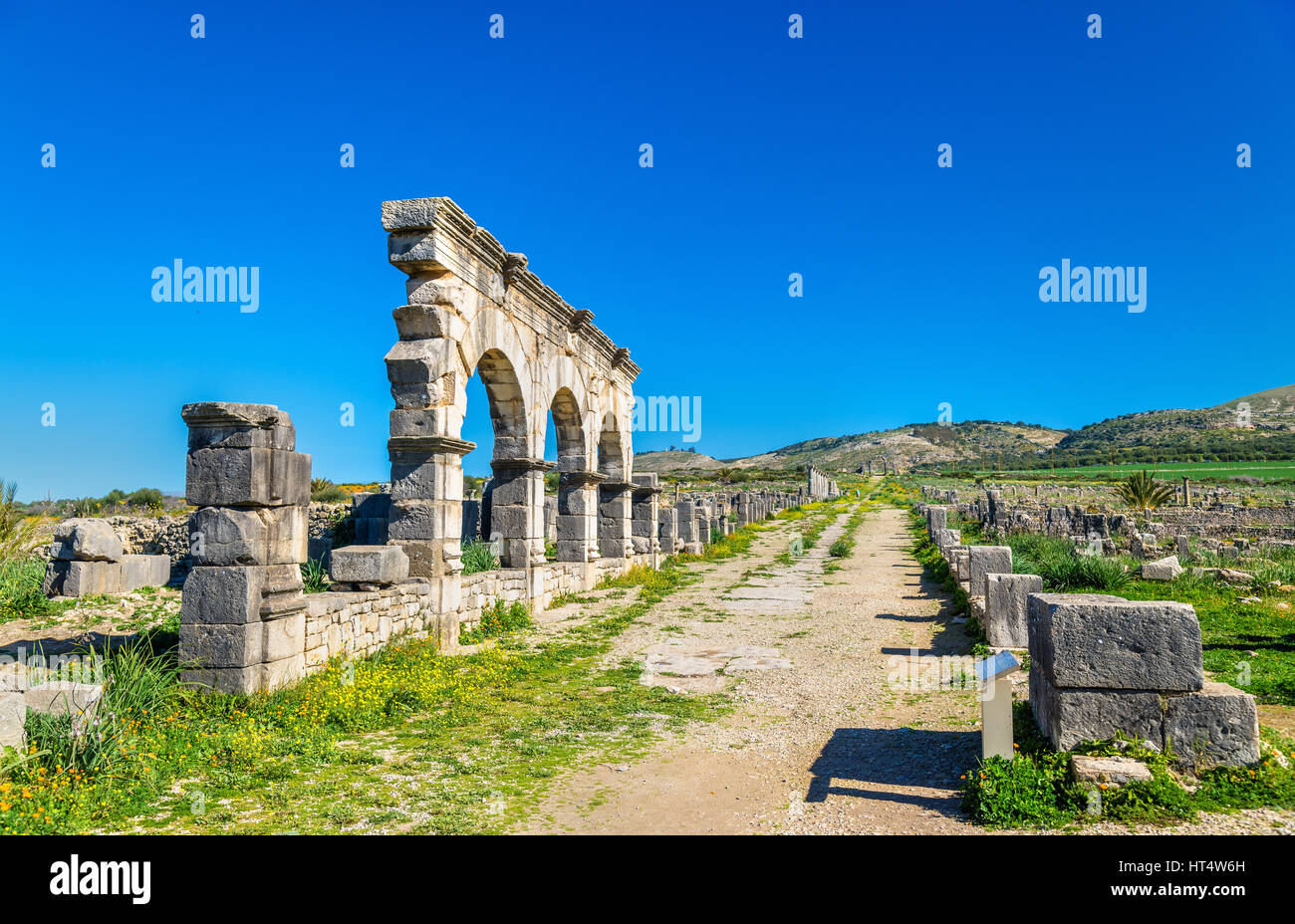 Decumanus Maximus, the main street of Volubilis, an ancient Roman town ...