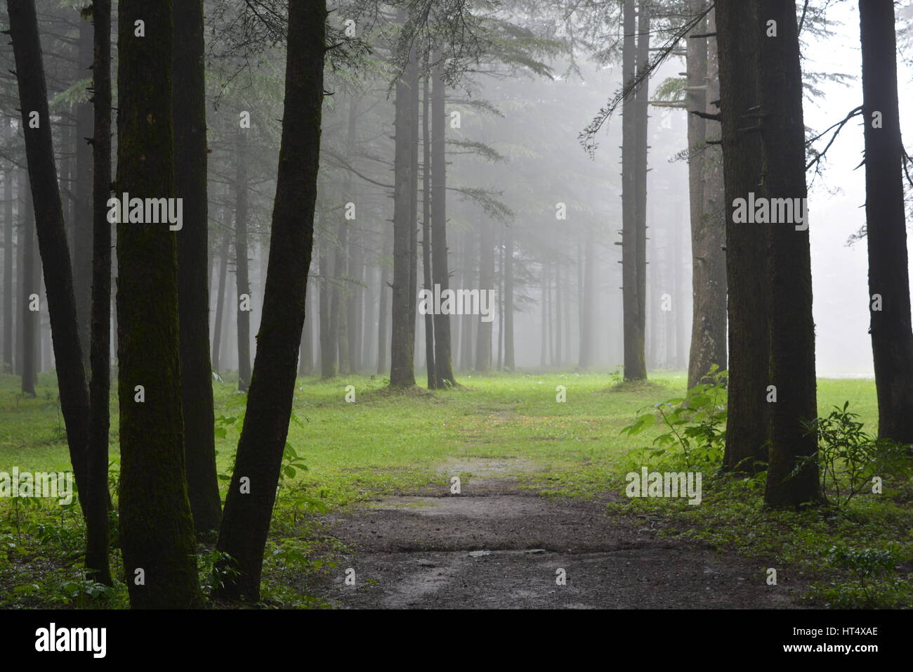 Wonderful mother nature hi-res stock photography and images - Alamy