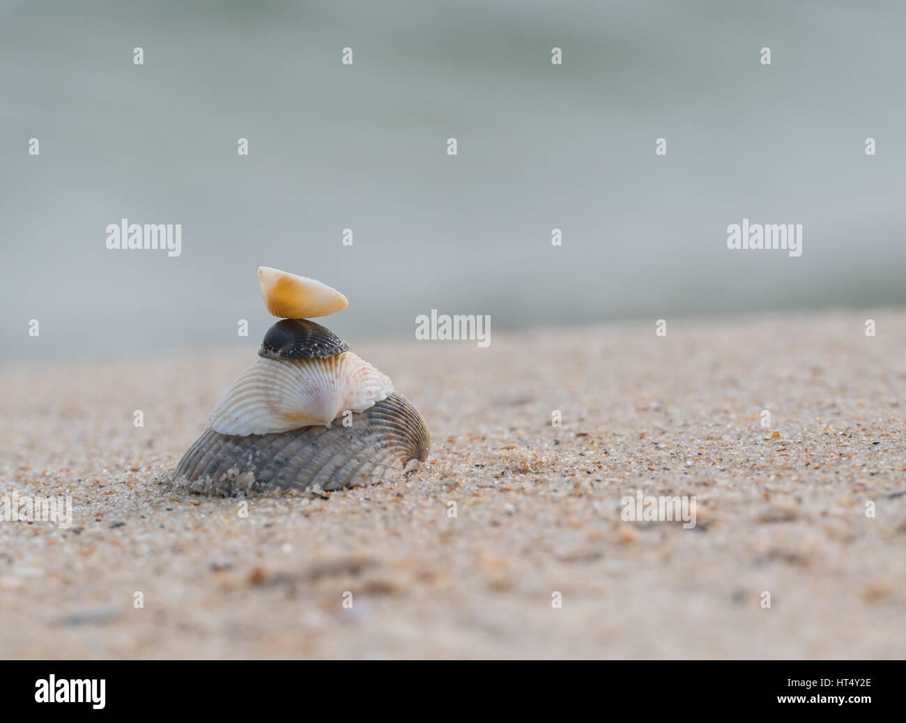 Stacked shells hi-res stock photography and images - Alamy