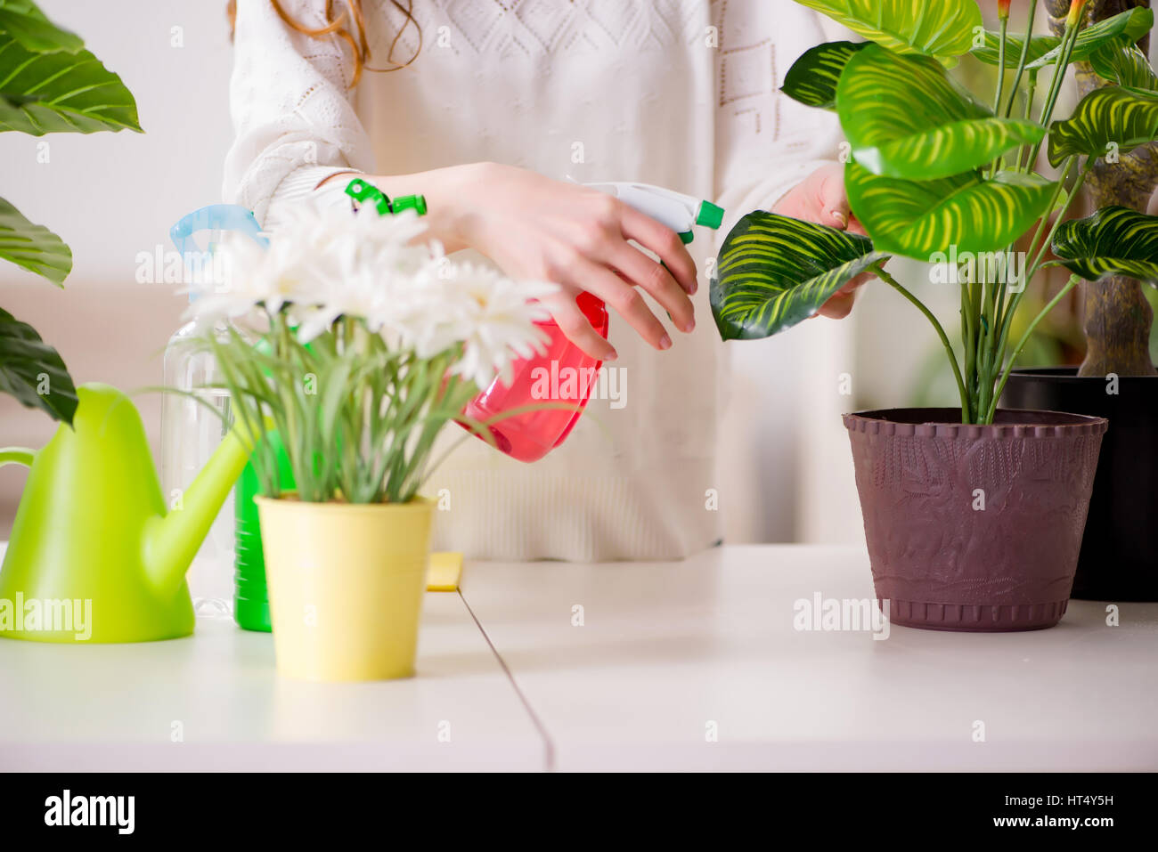 Young woman looking after plants at home Stock Photo - Alamy